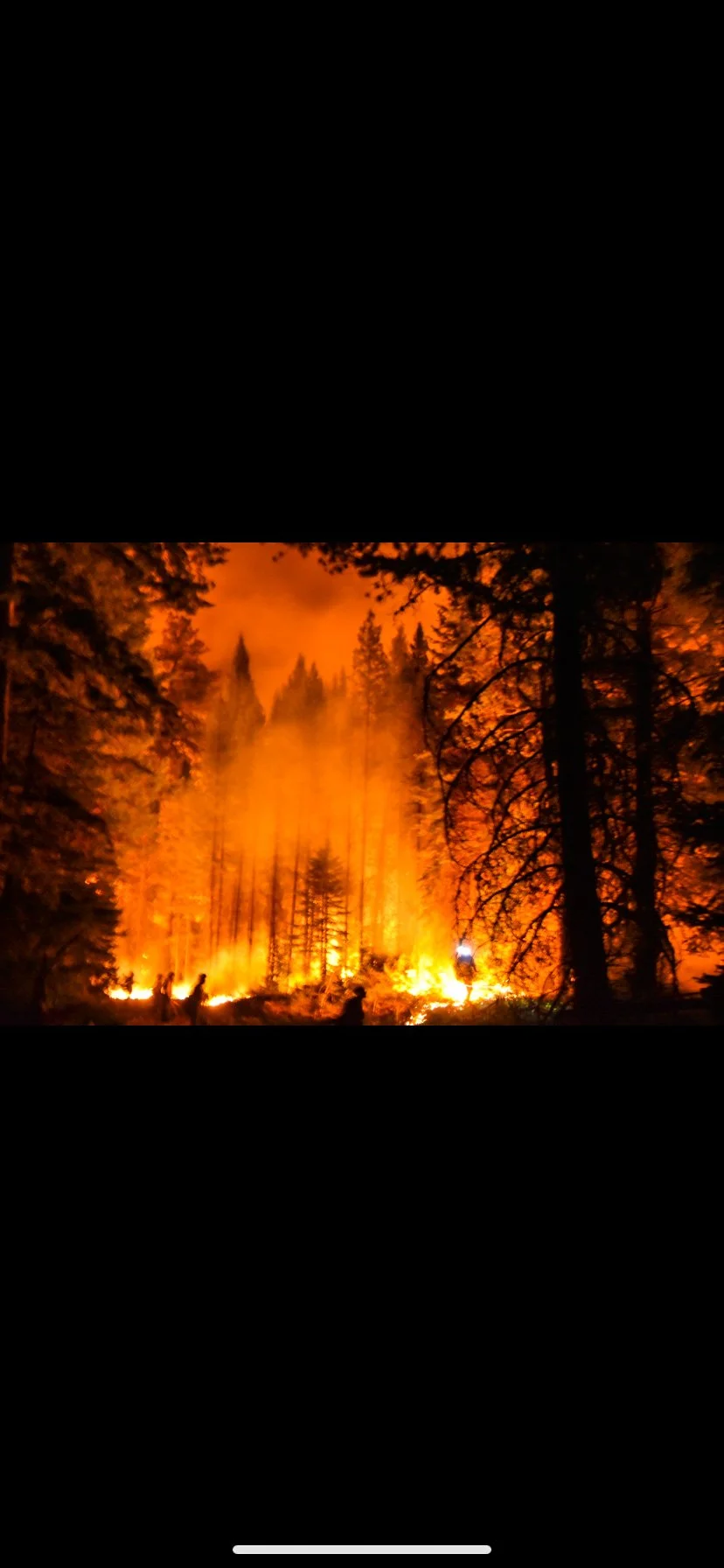 Treasure Valley Fire