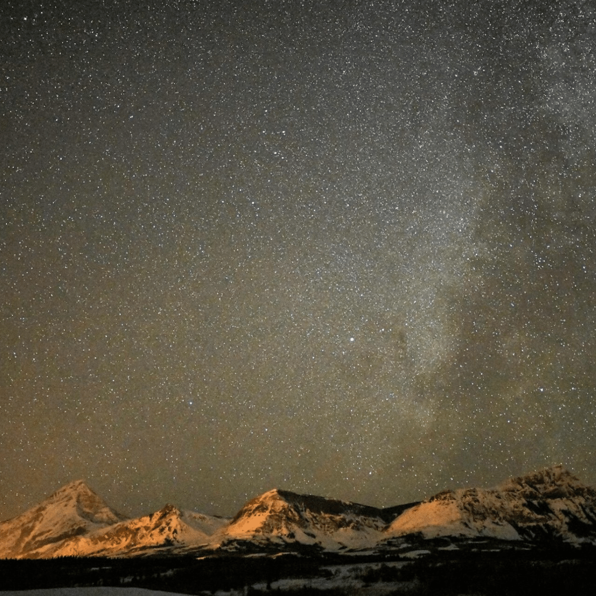 Stay at Thanksgiving Ranch - a working ranch close to Waterton Lakes ...