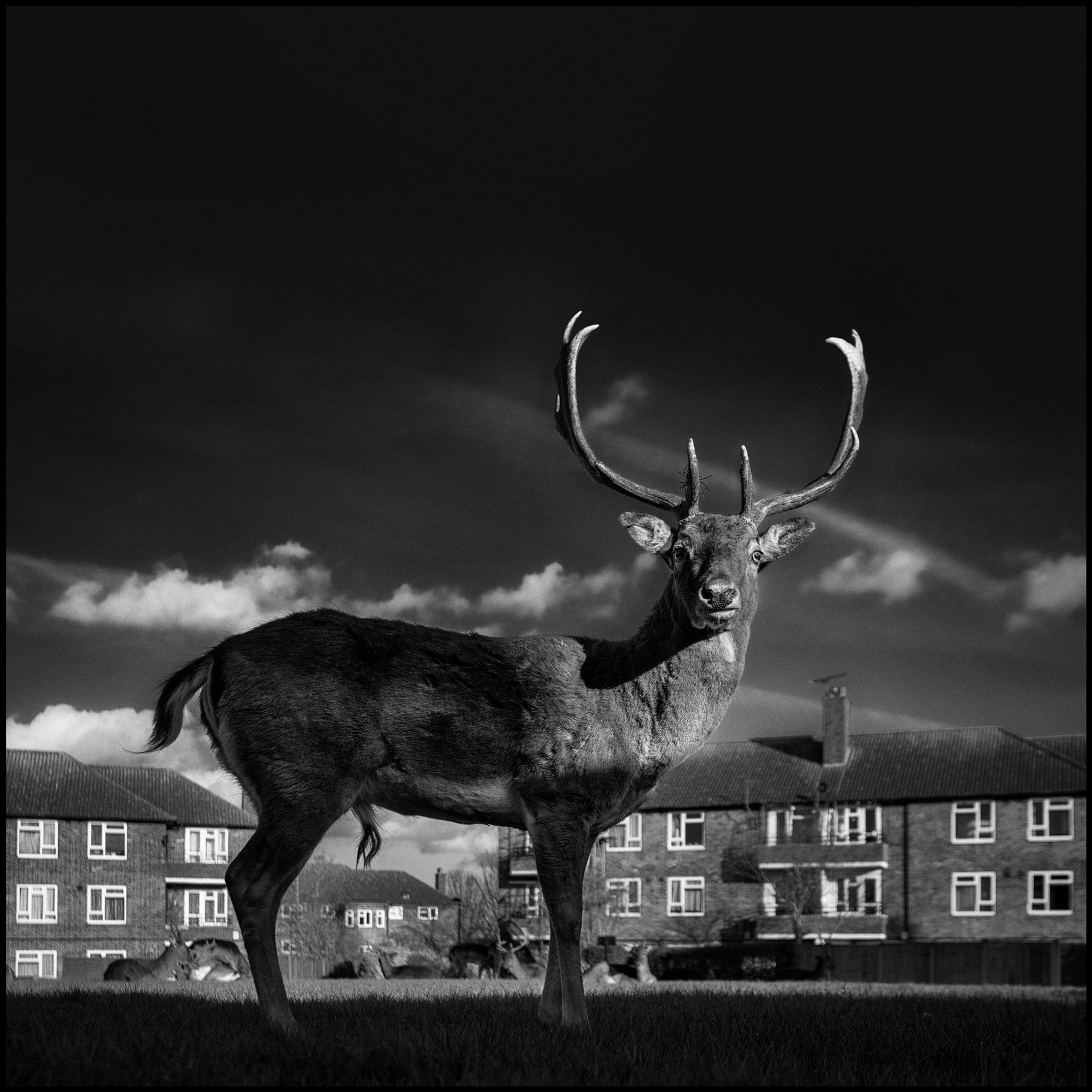 MARC AYRES Black and white photography