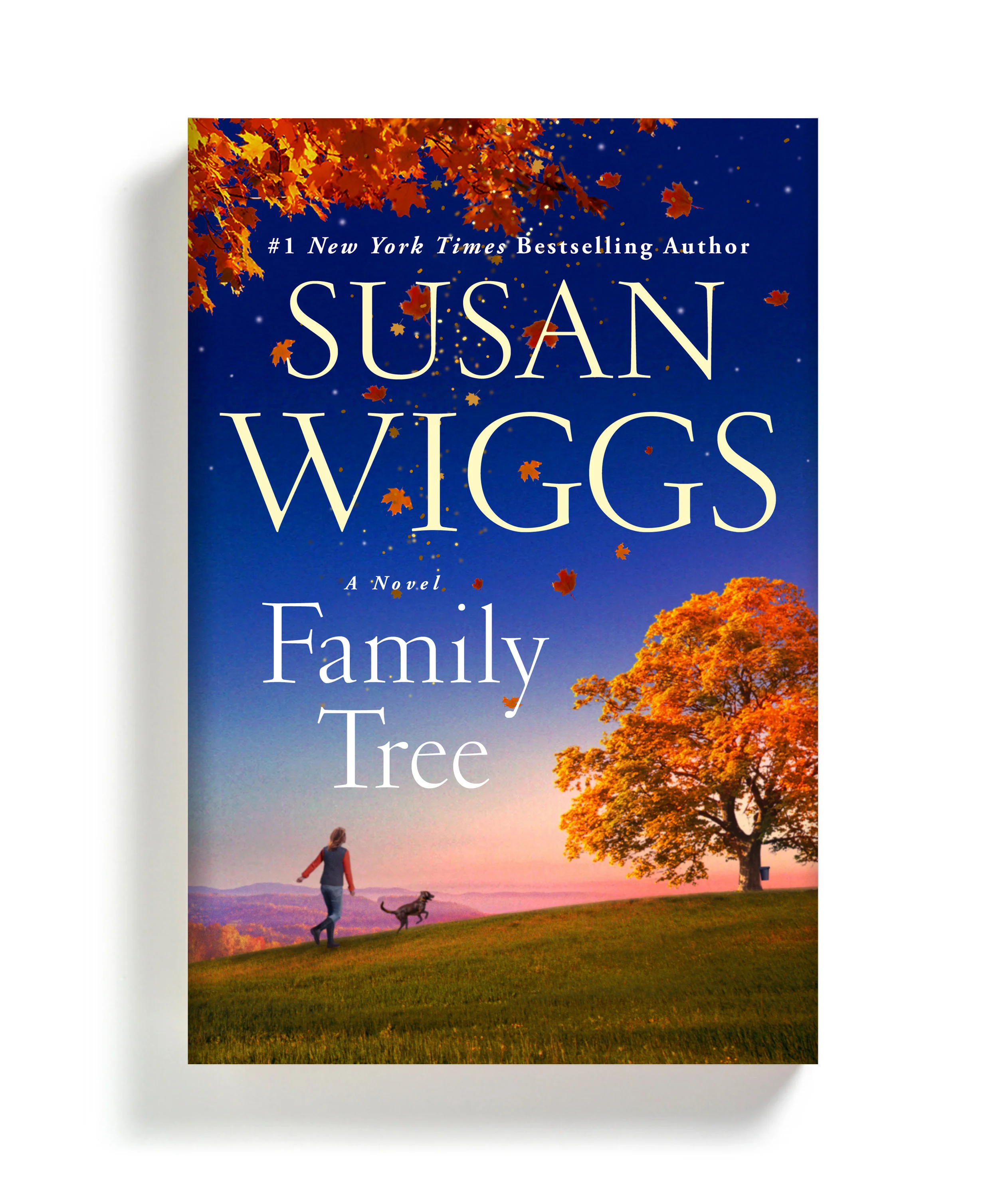 ALAN DINGMAN • CREATIVE