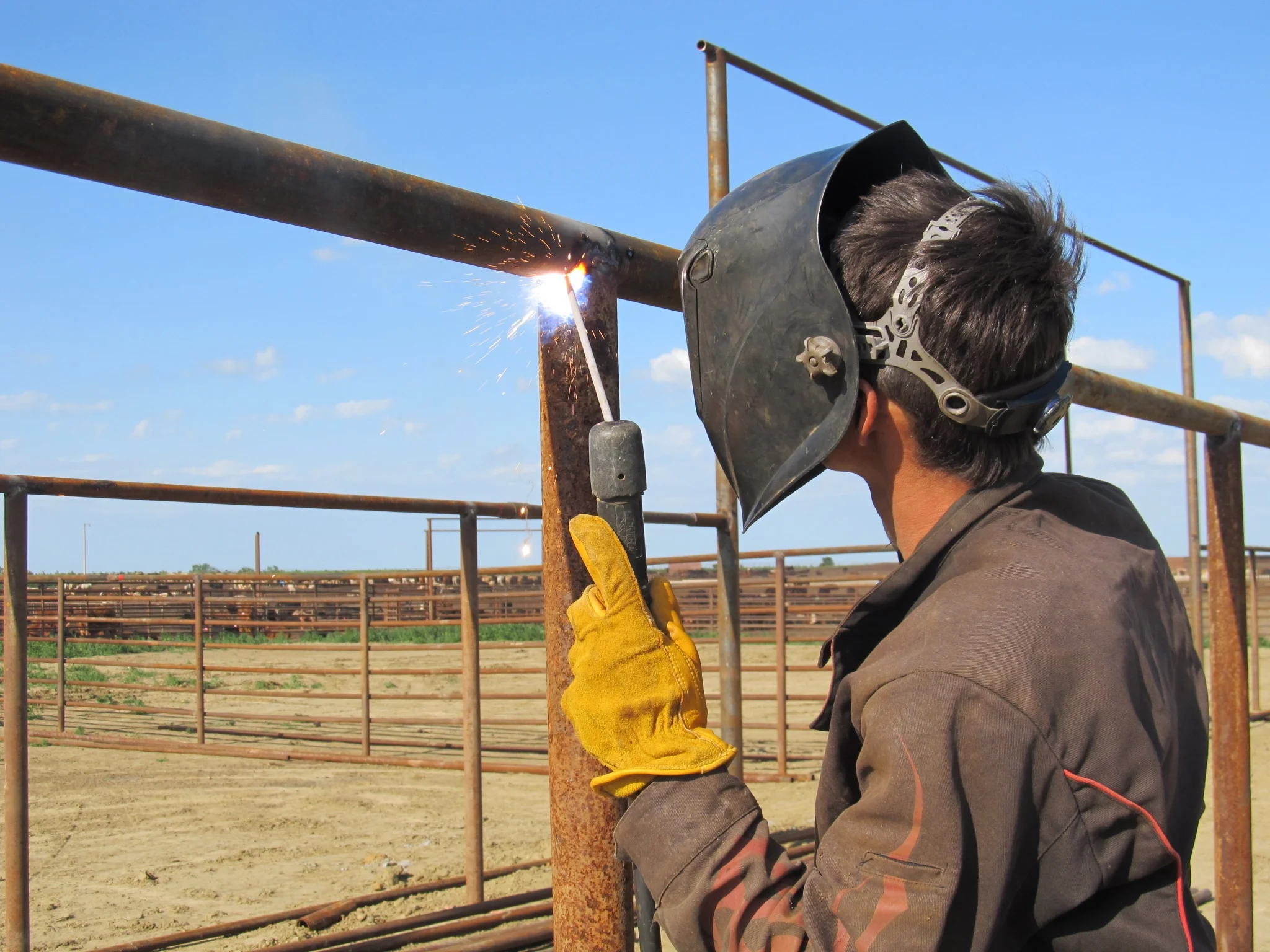 6 tips for building a good corral fence — Aurochs Consulting