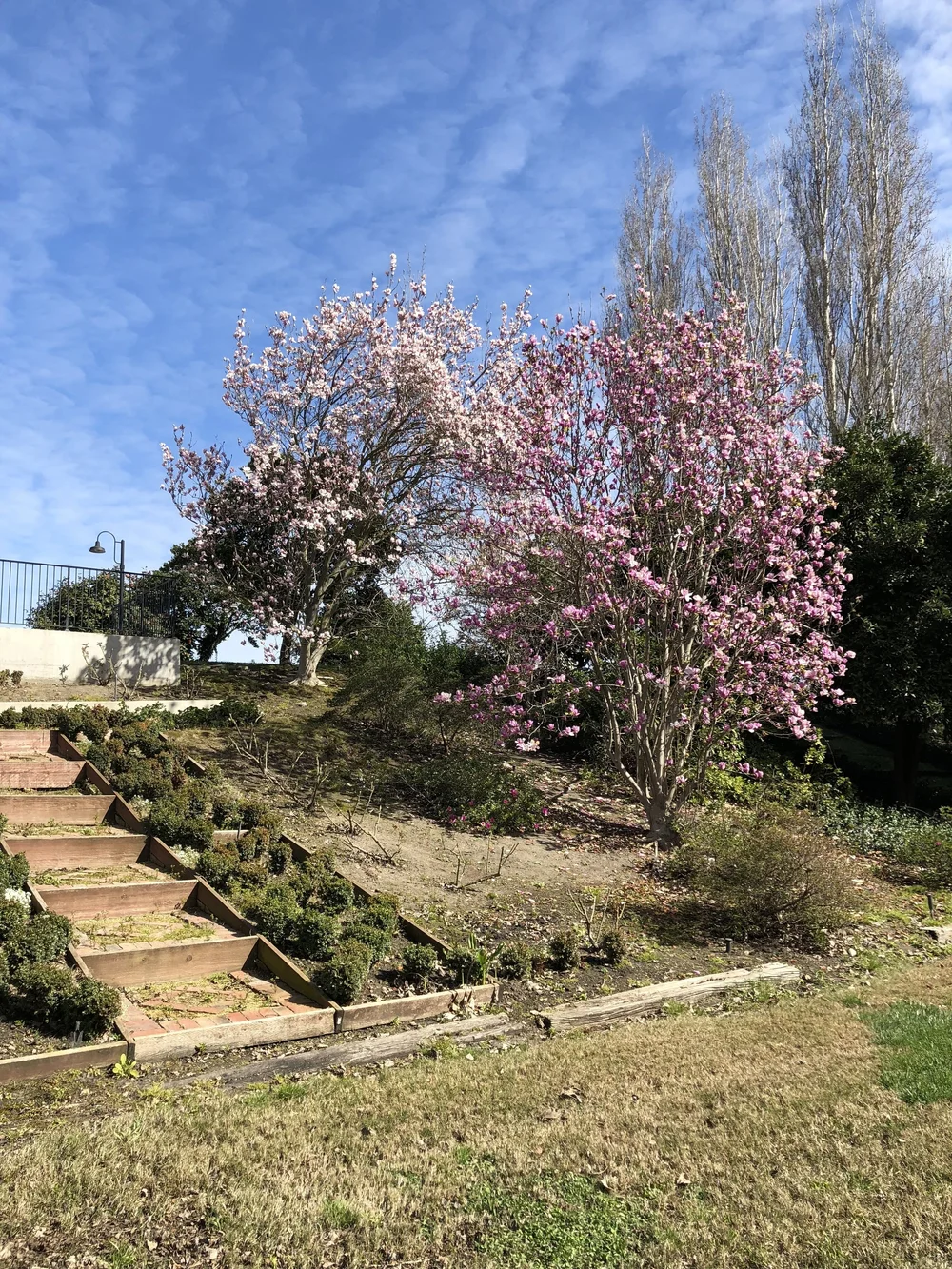 About Victoria Island Farms California — Victoria Island Farms