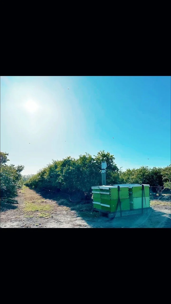 Victoria Island Farms