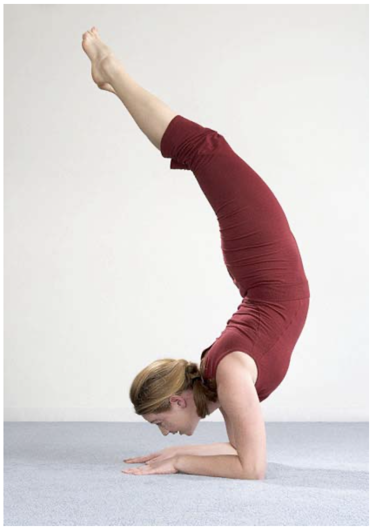 Pincha Mayurasana