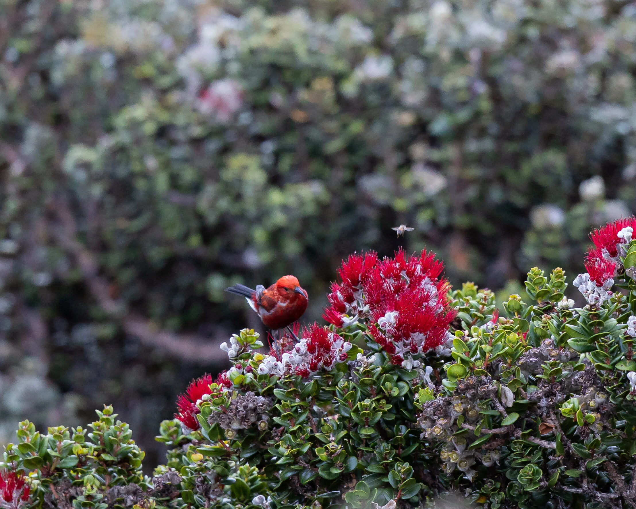 Jason Simon Photography