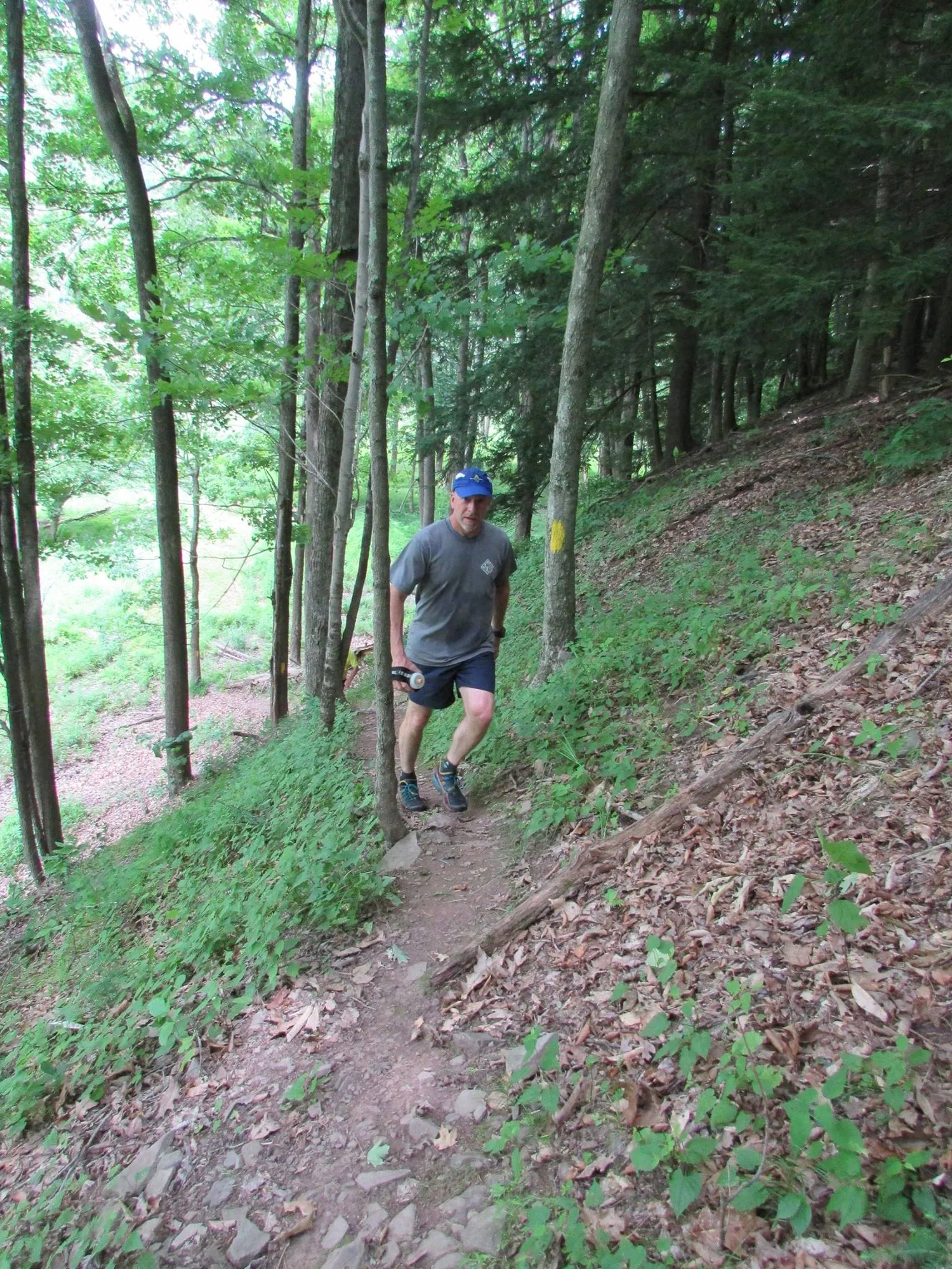 Little Pine 5-Miler . October 25, 2026 . Waterville, PA — PA Trail Dogs