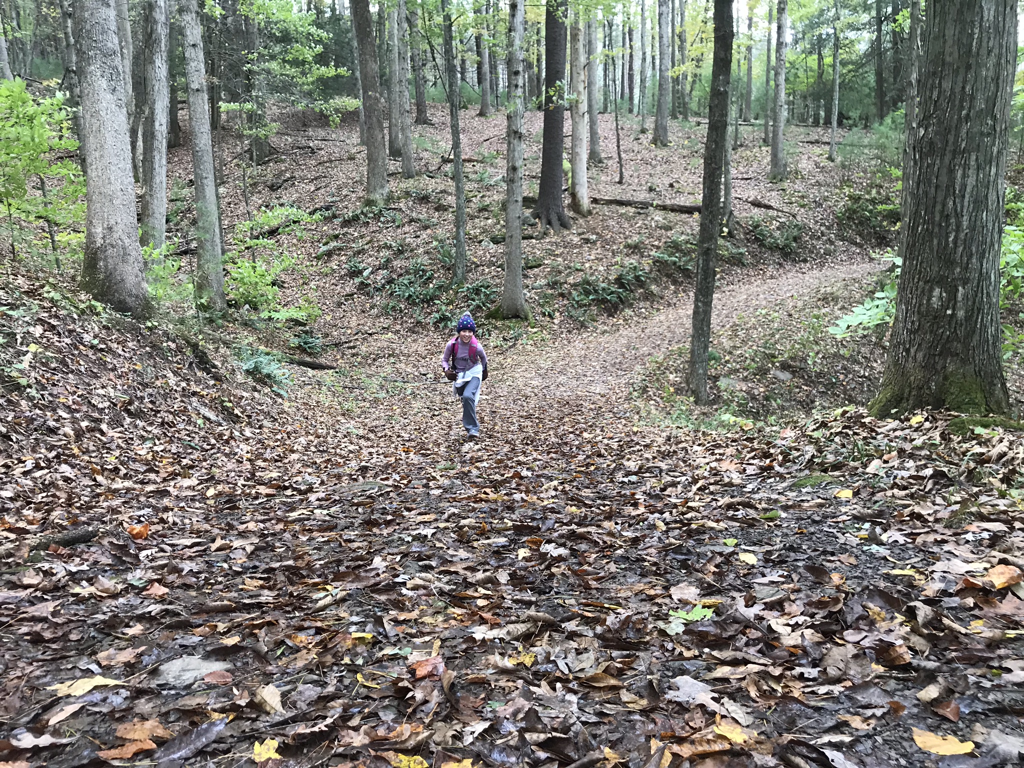 Little Pine 5-Miler . October 25, 2026 . Waterville, PA — PA Trail Dogs