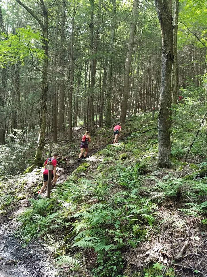 Hyner Half & 7k - August 22, 2026 — PA Trail Dogs