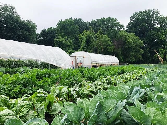 Edible Uprising Farm