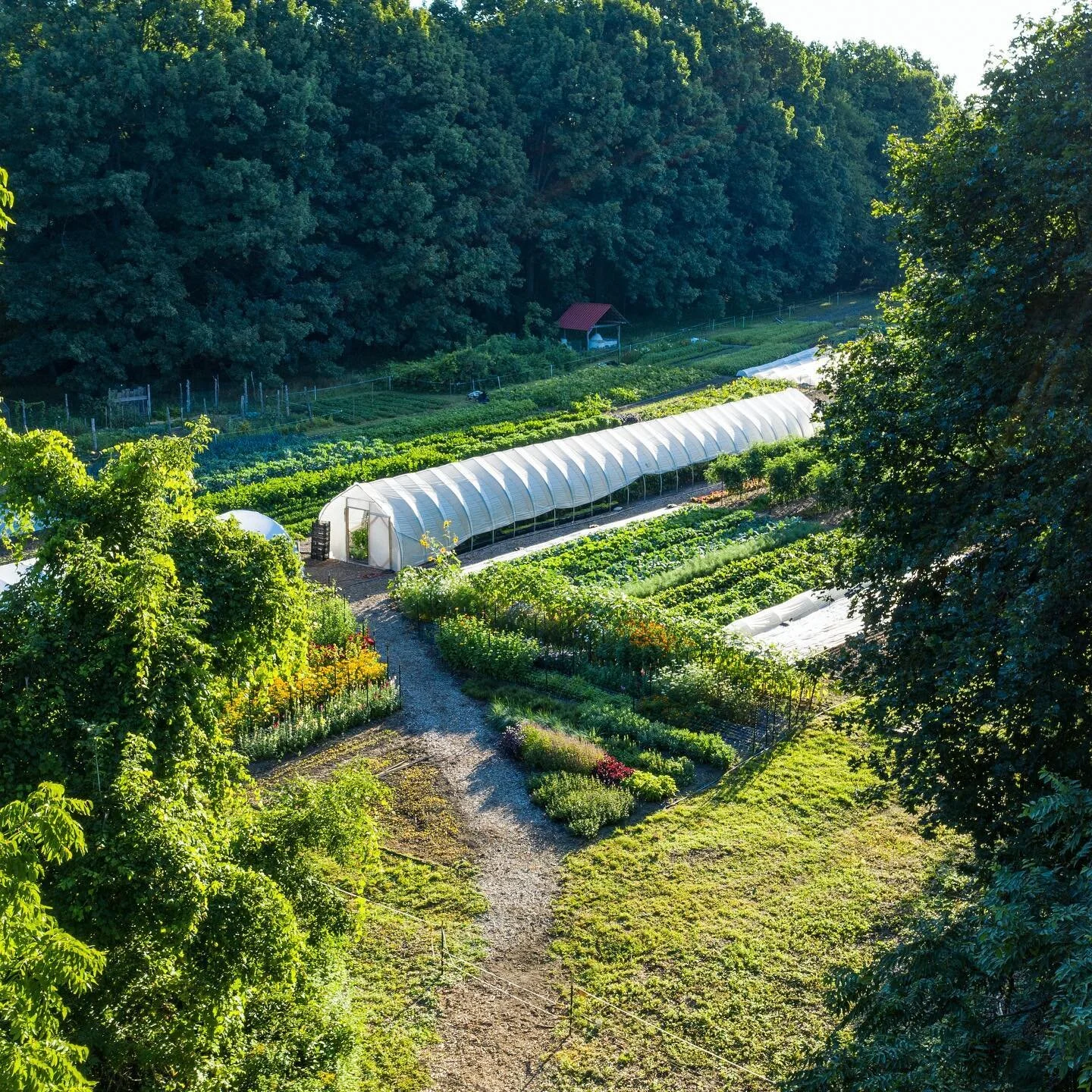 Edible Uprising Farm