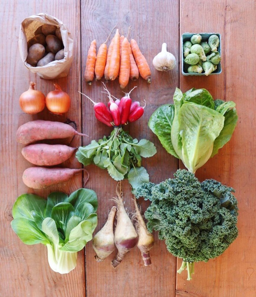 Edible Uprising Farm