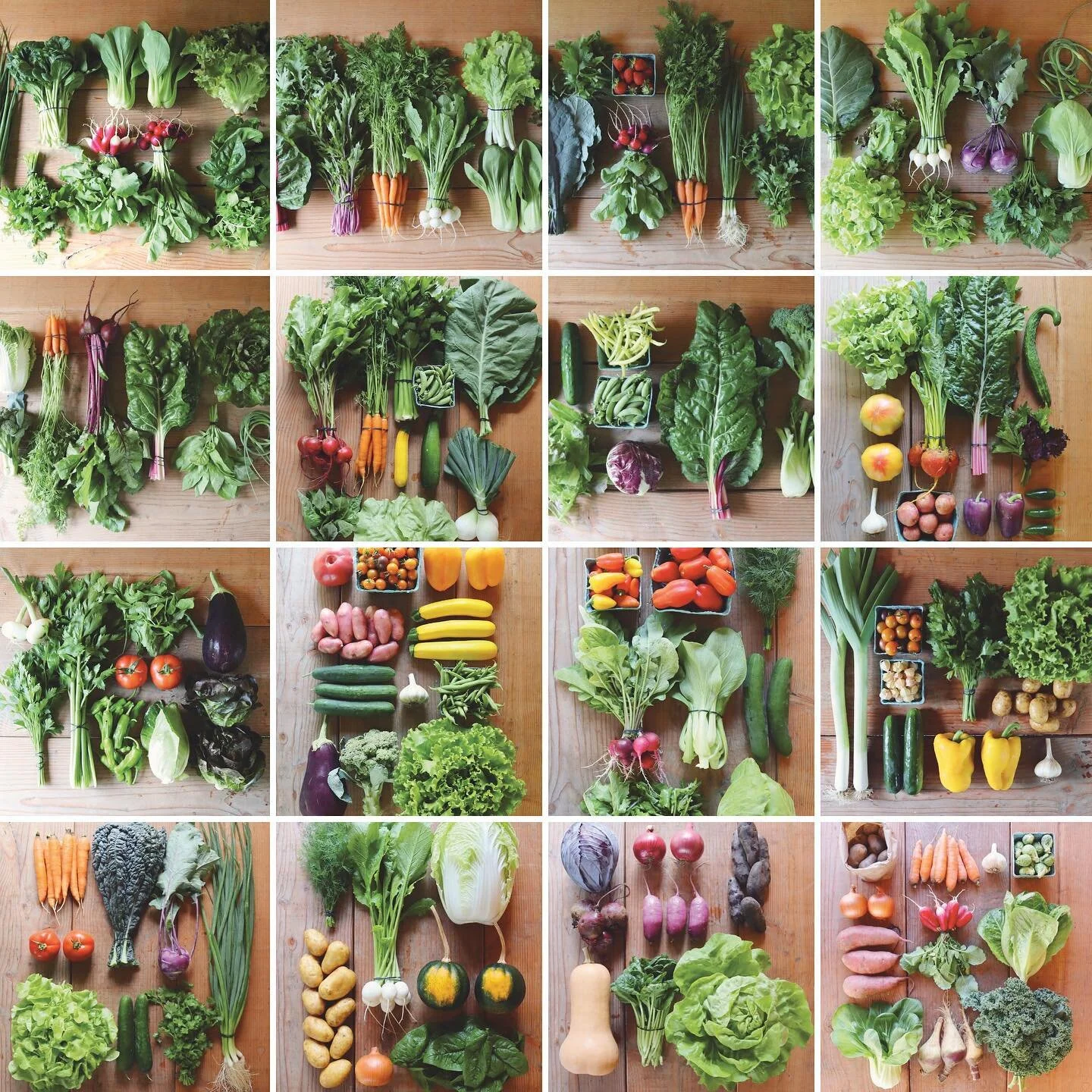 Edible Uprising Farm