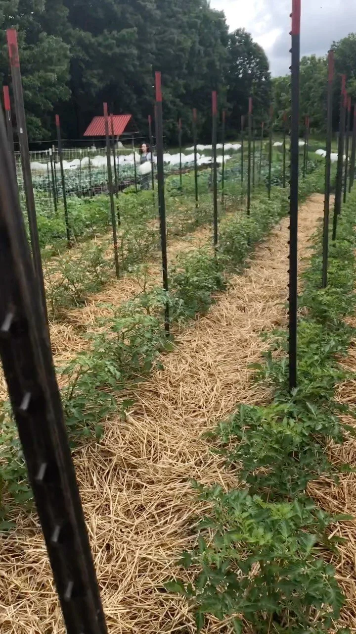 Edible Uprising Farm