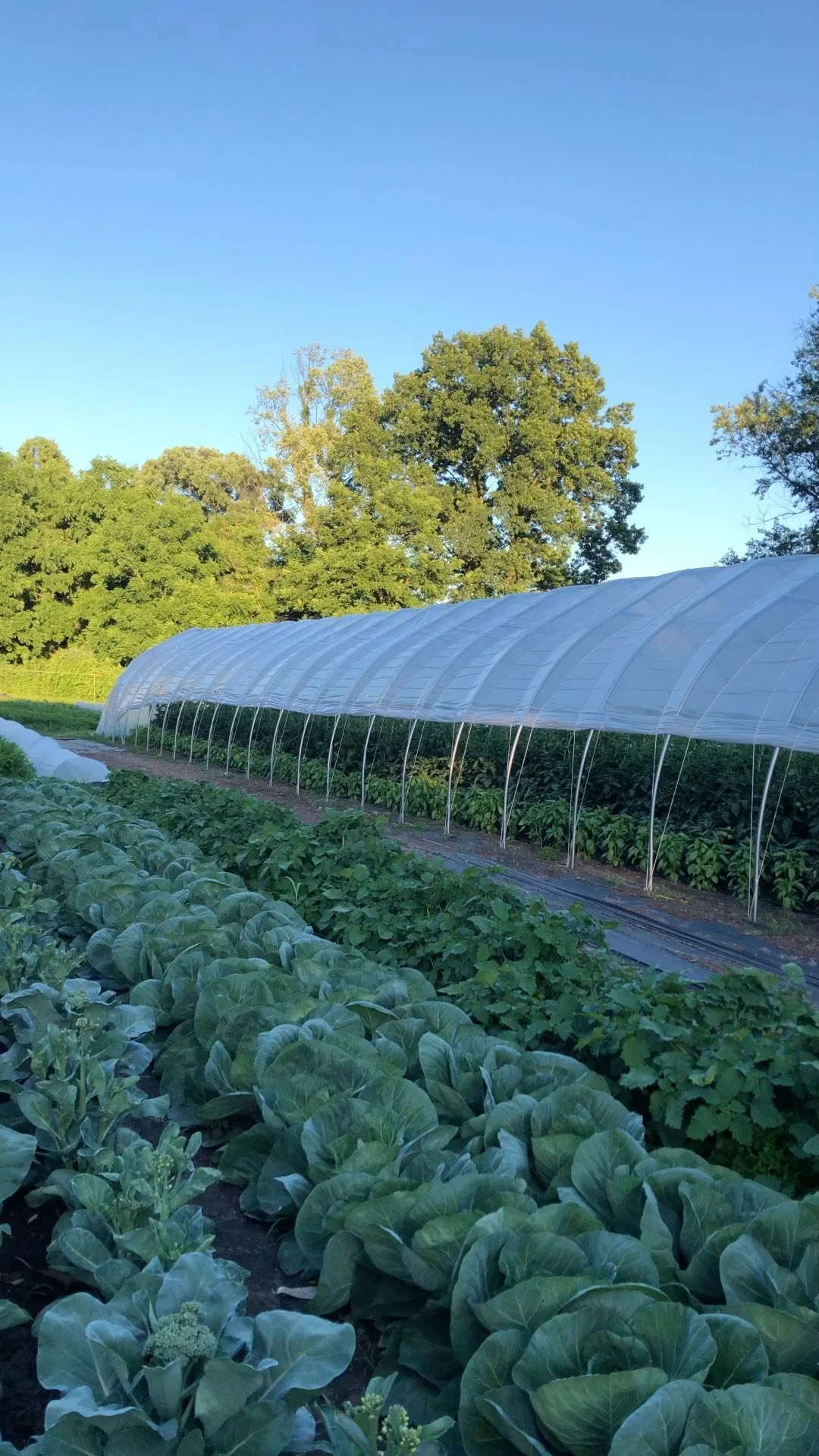 Edible Uprising Farm