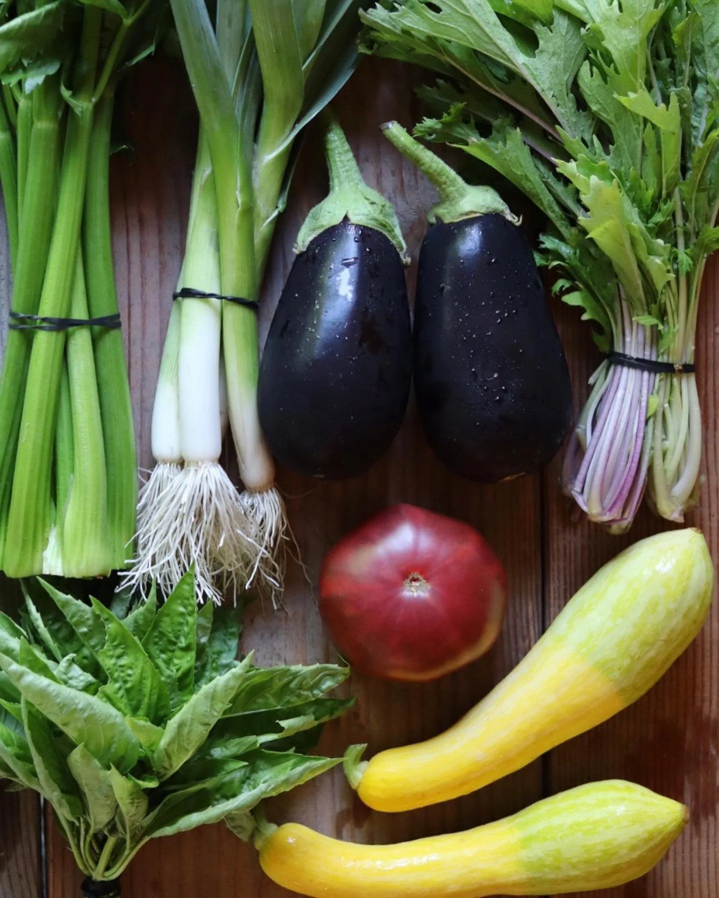 Edible Uprising Farm