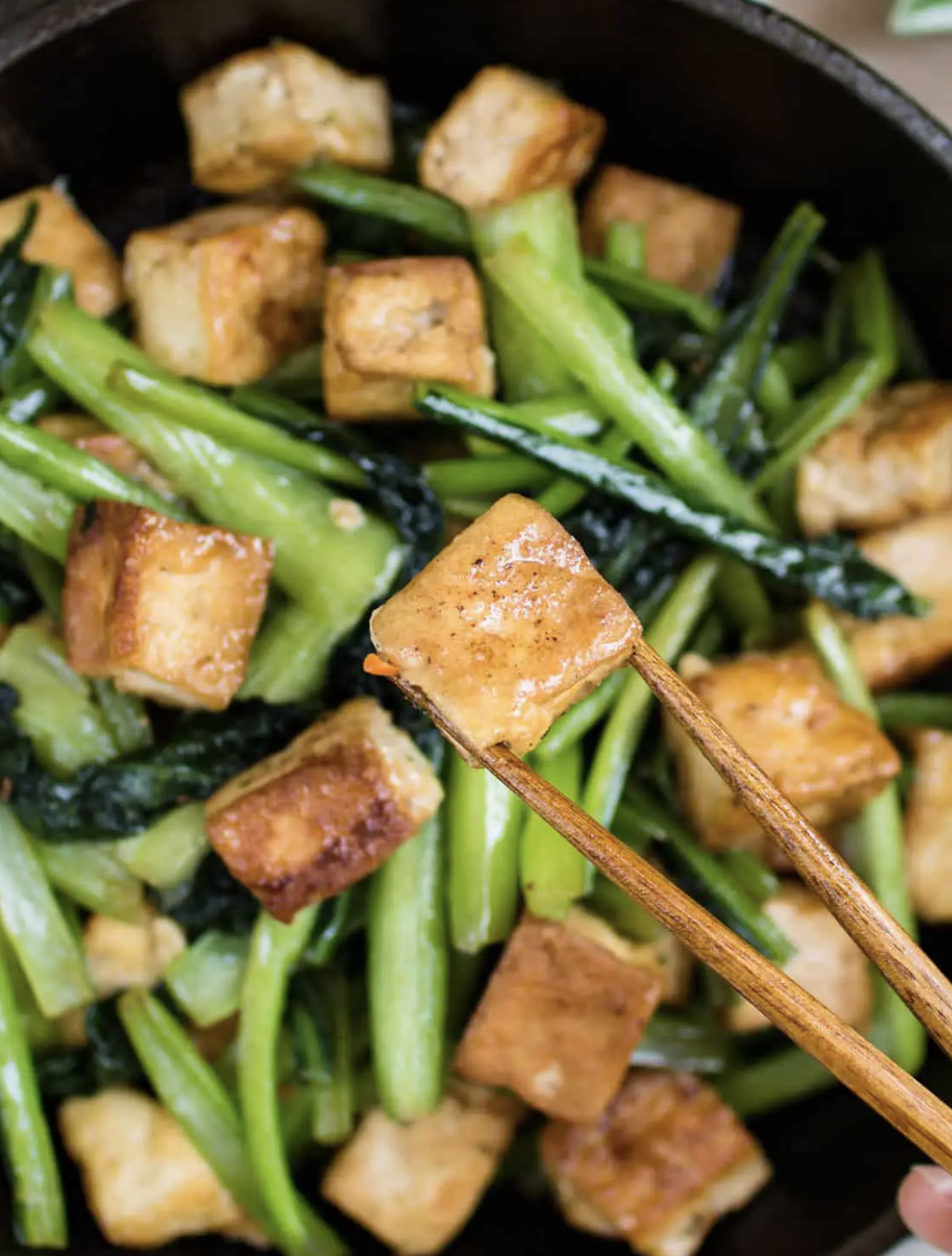 Choy Sum — Edible Uprising Farm