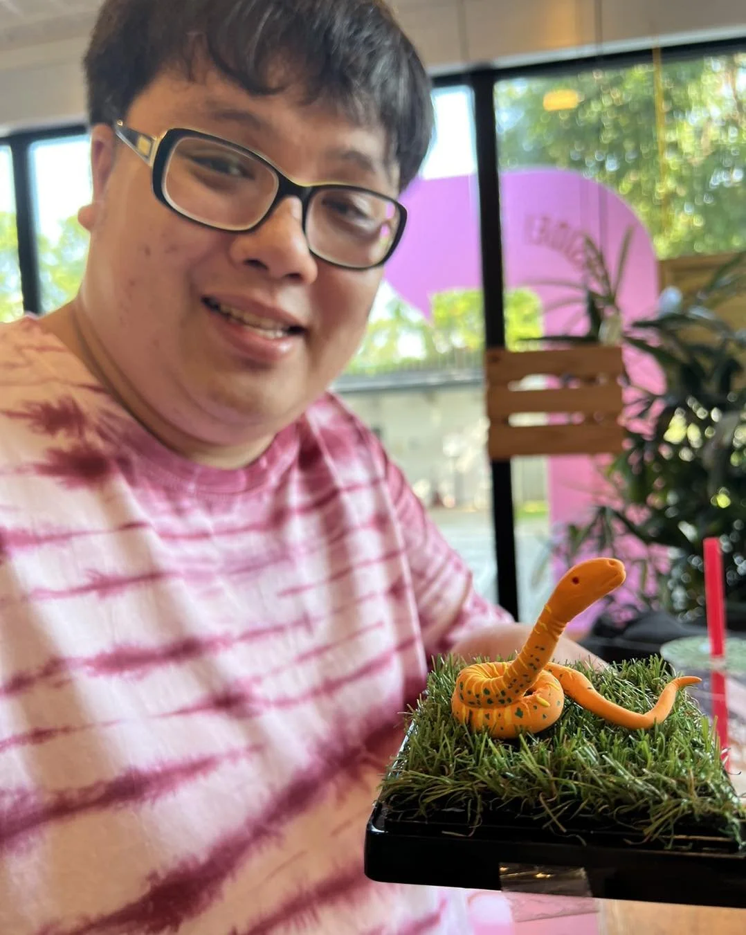 Celebrating Abilities of Persons with Disabilities — Denise Phua