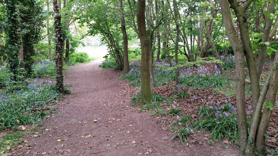 George Pitcher Memorial Ground | Burnham Parish Council