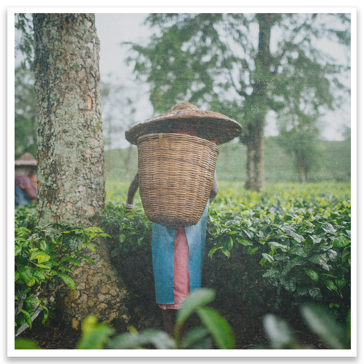 Sustainability — Keith Spicer