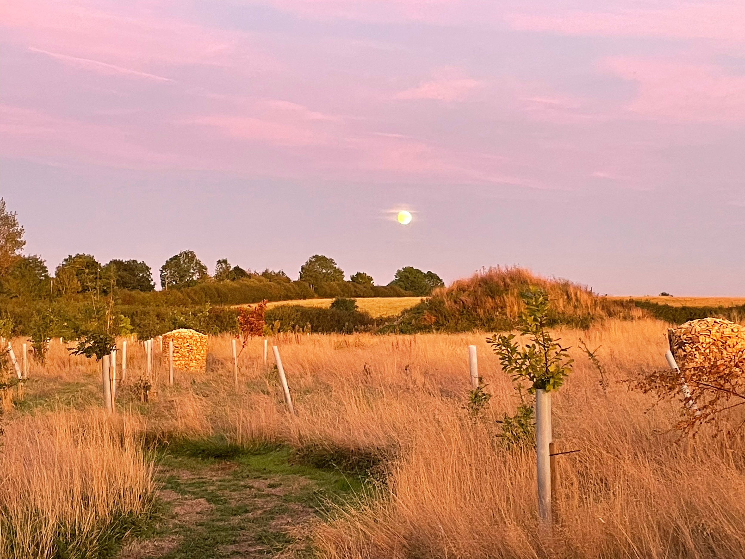 Mid-England Barrow -safe keeping of ashes, rural funeral venue