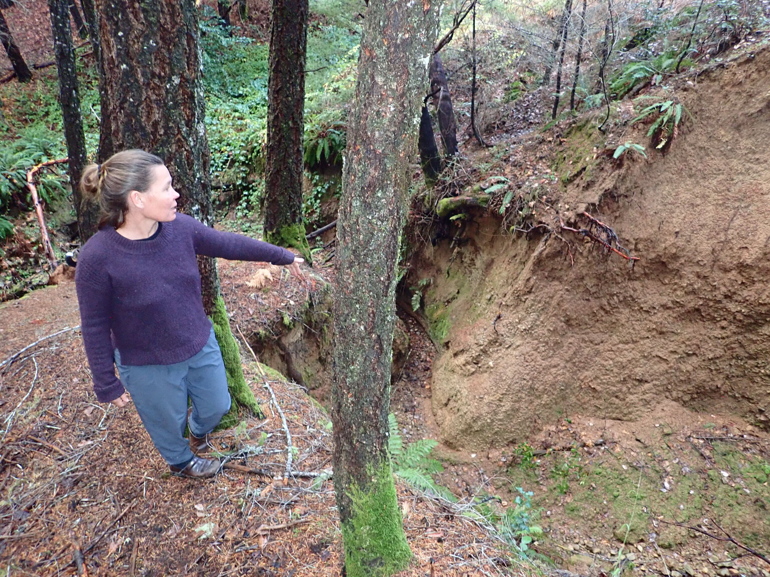 Eel River Recovery Project