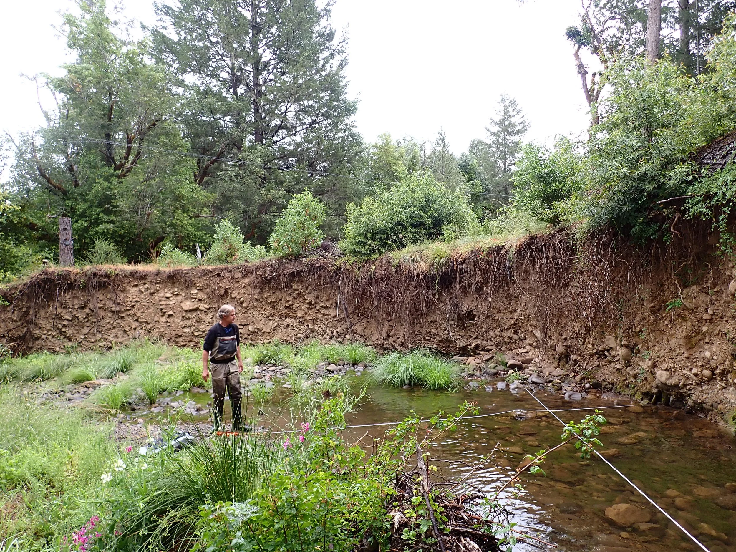 Tenmile 319h_Bank & Riparian — ERRP
