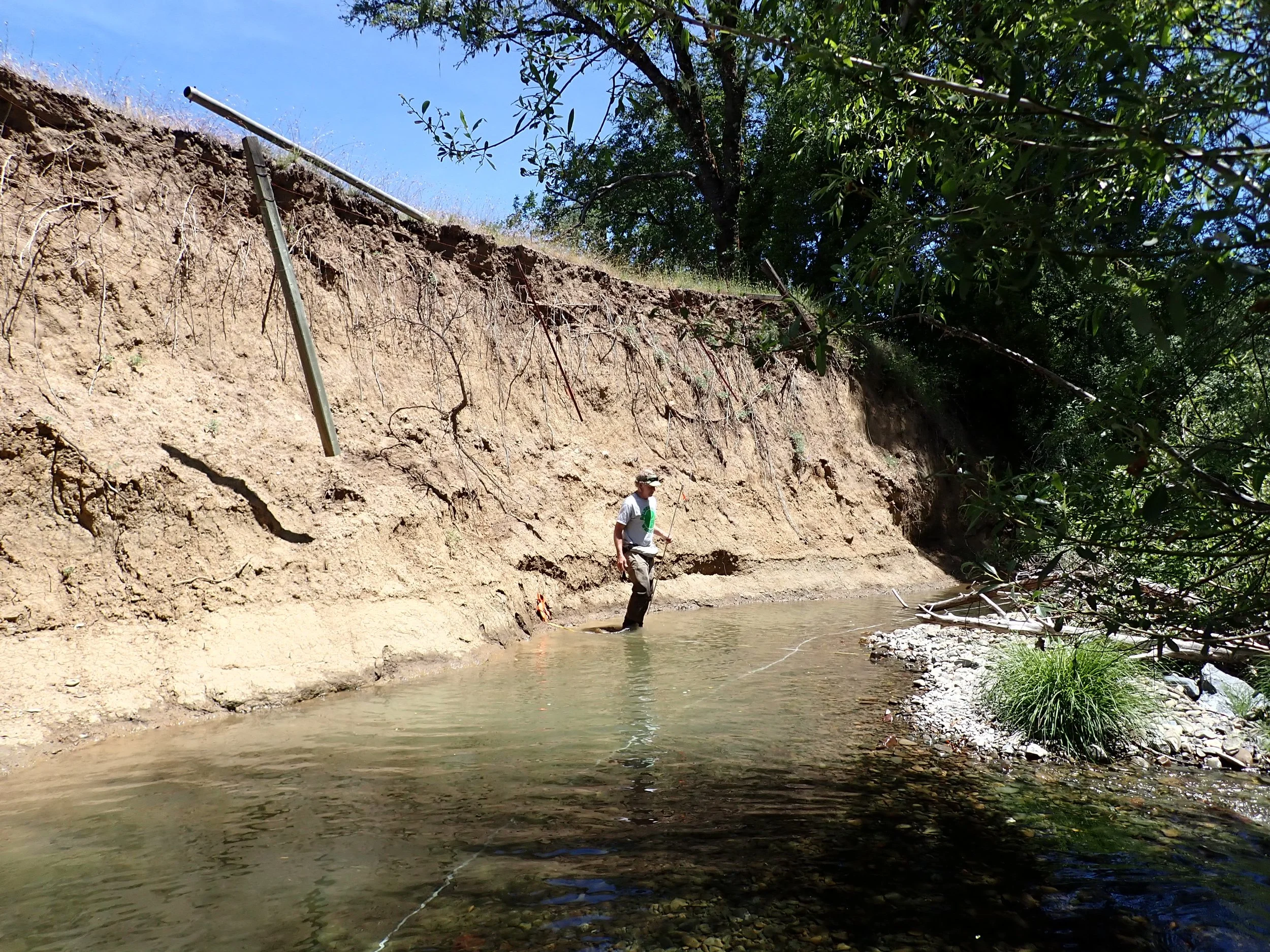 Tenmile 319h_Bank & Riparian — ERRP