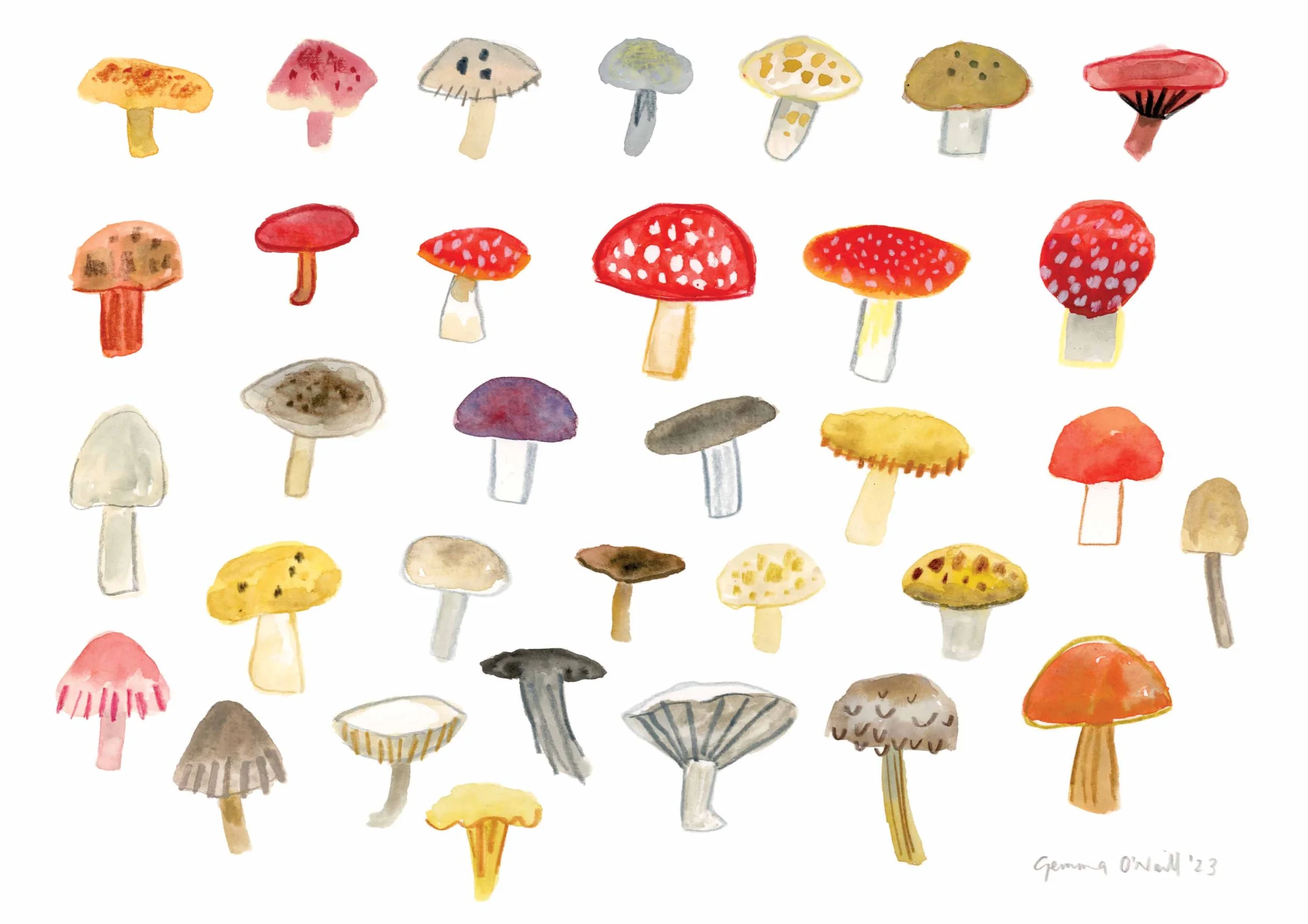 Fungi — Gemma O'Neill