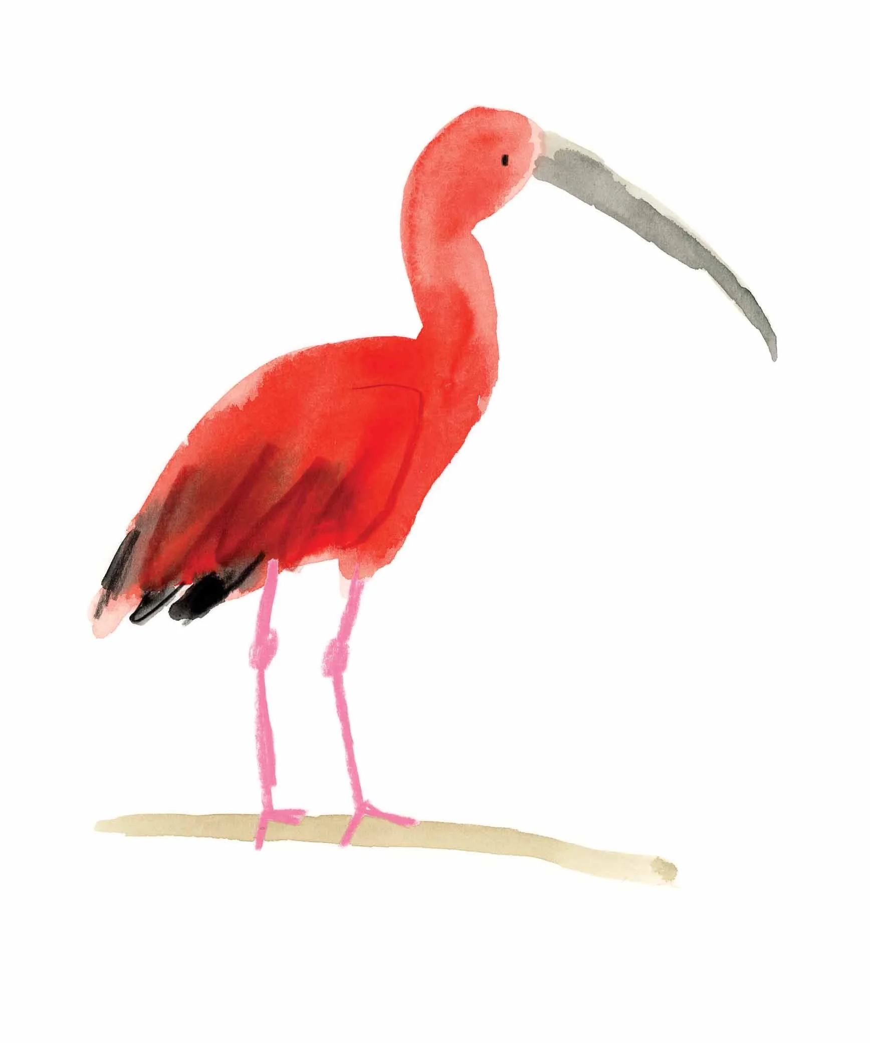 Shop — Gemma O'Neill