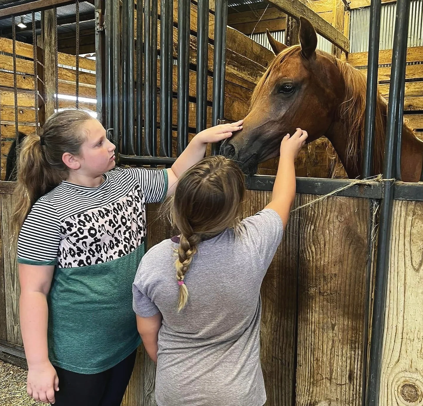 Horse Riding Lessons