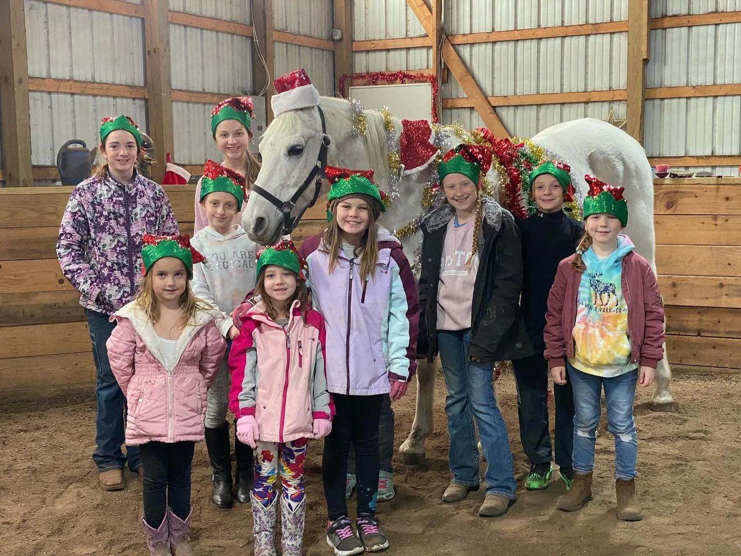 Horse Riding Lessons