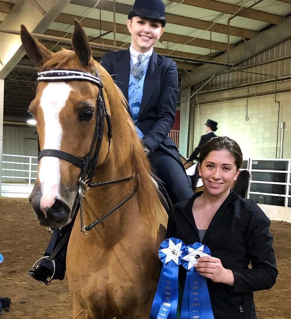 Horse Riding Lessons