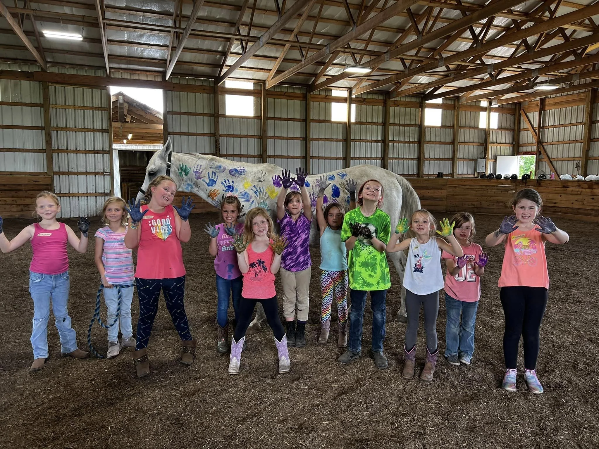 Horse Riding Lessons