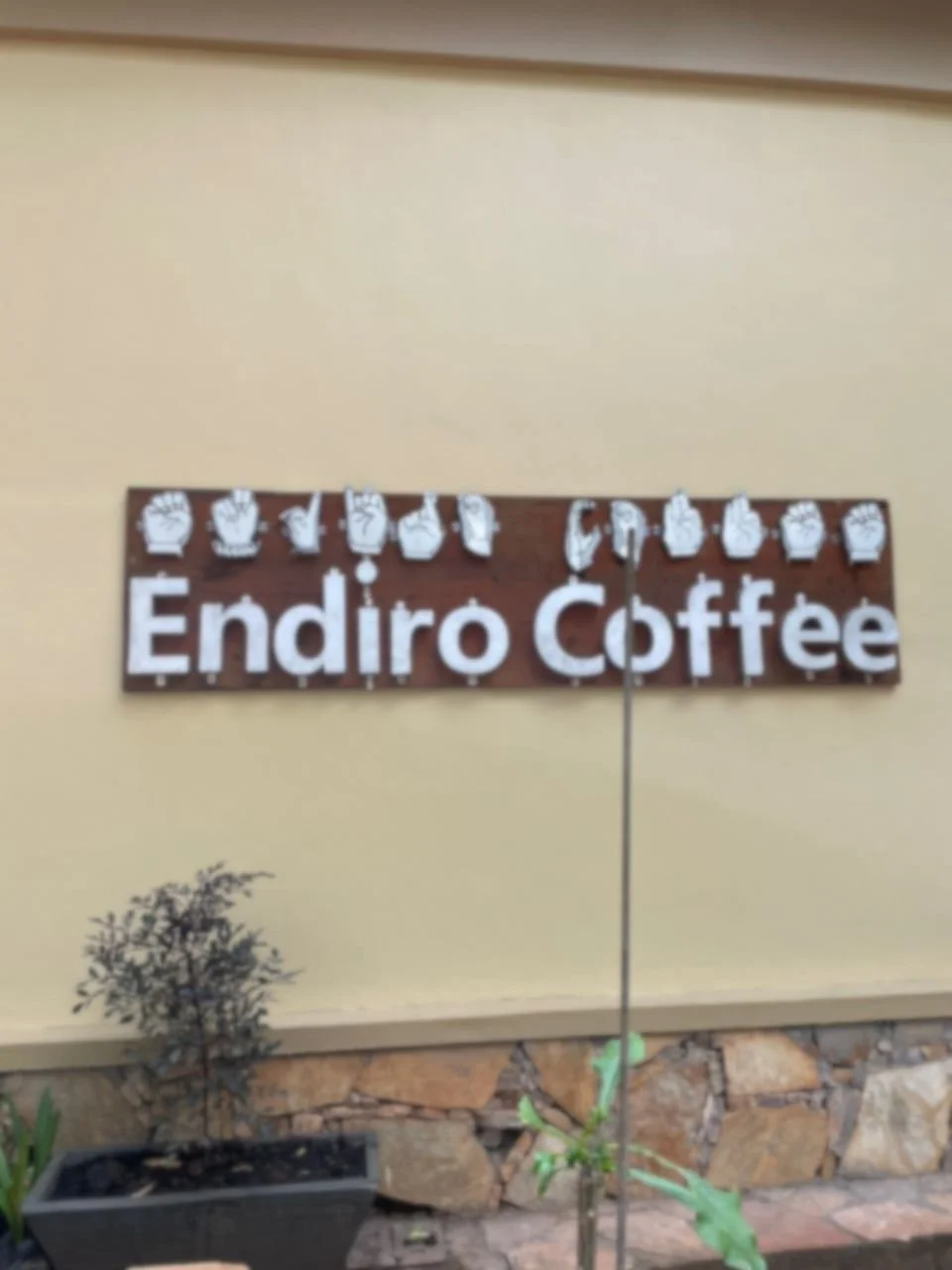 Endiro Academy — Endiro Coffee
