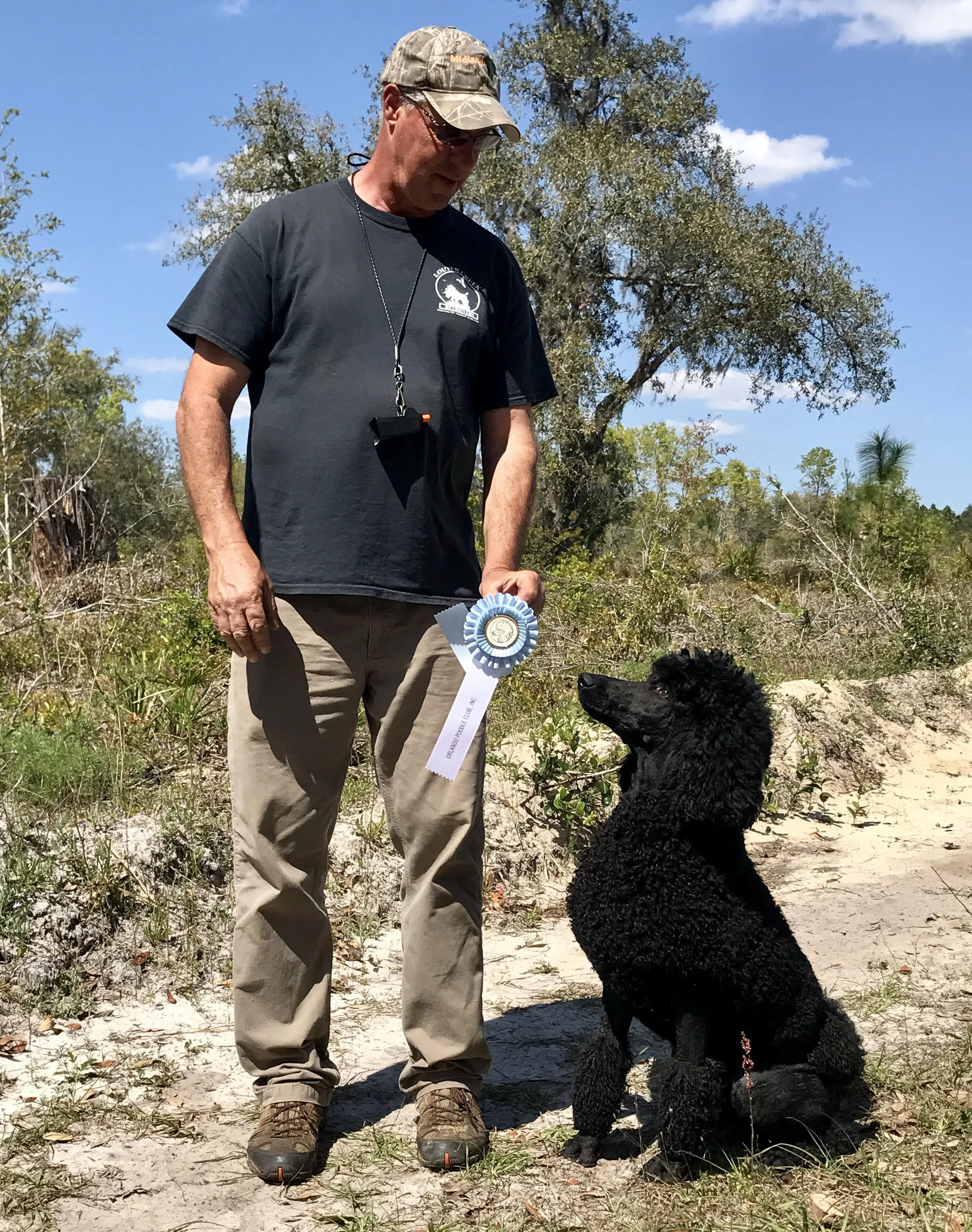 What Type Of Hunting Dogs Were Poodles