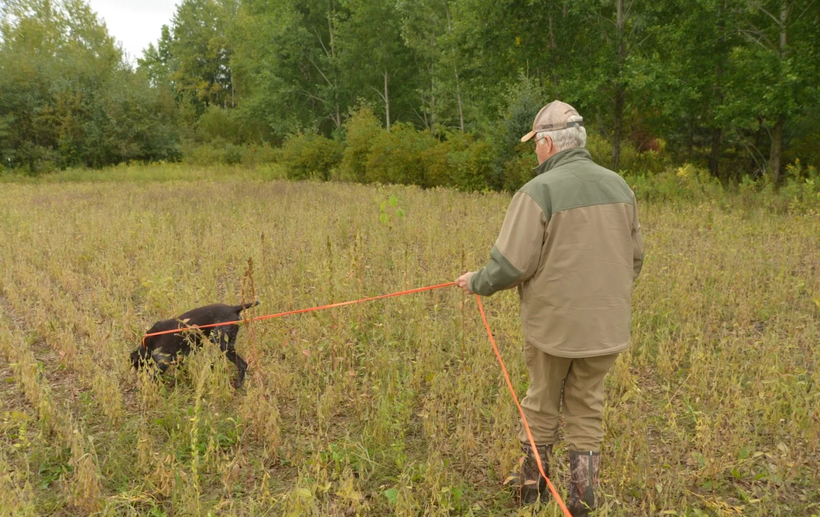 How Do You Train A Dog To Hunt Deer