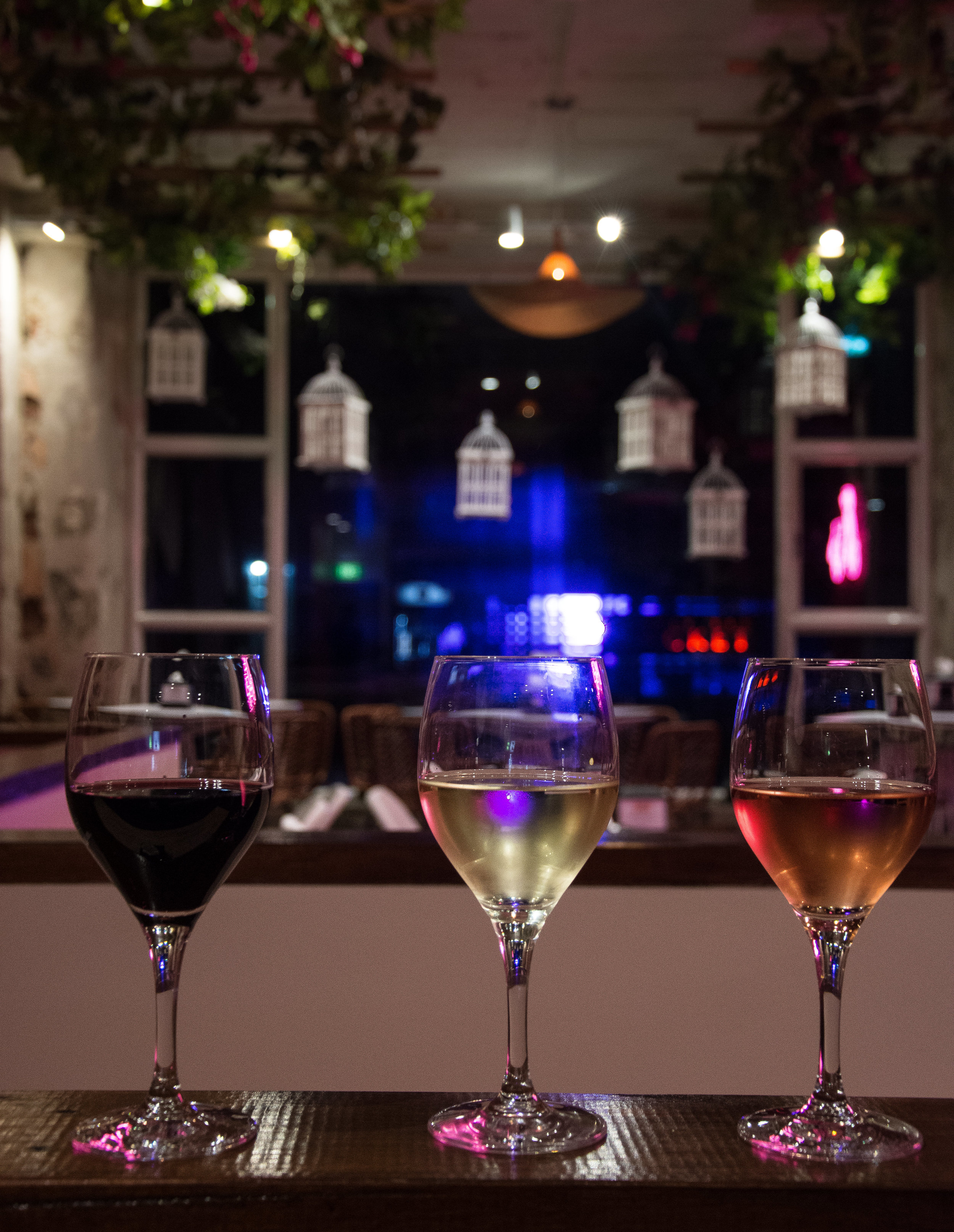 Gallery — Little Brother