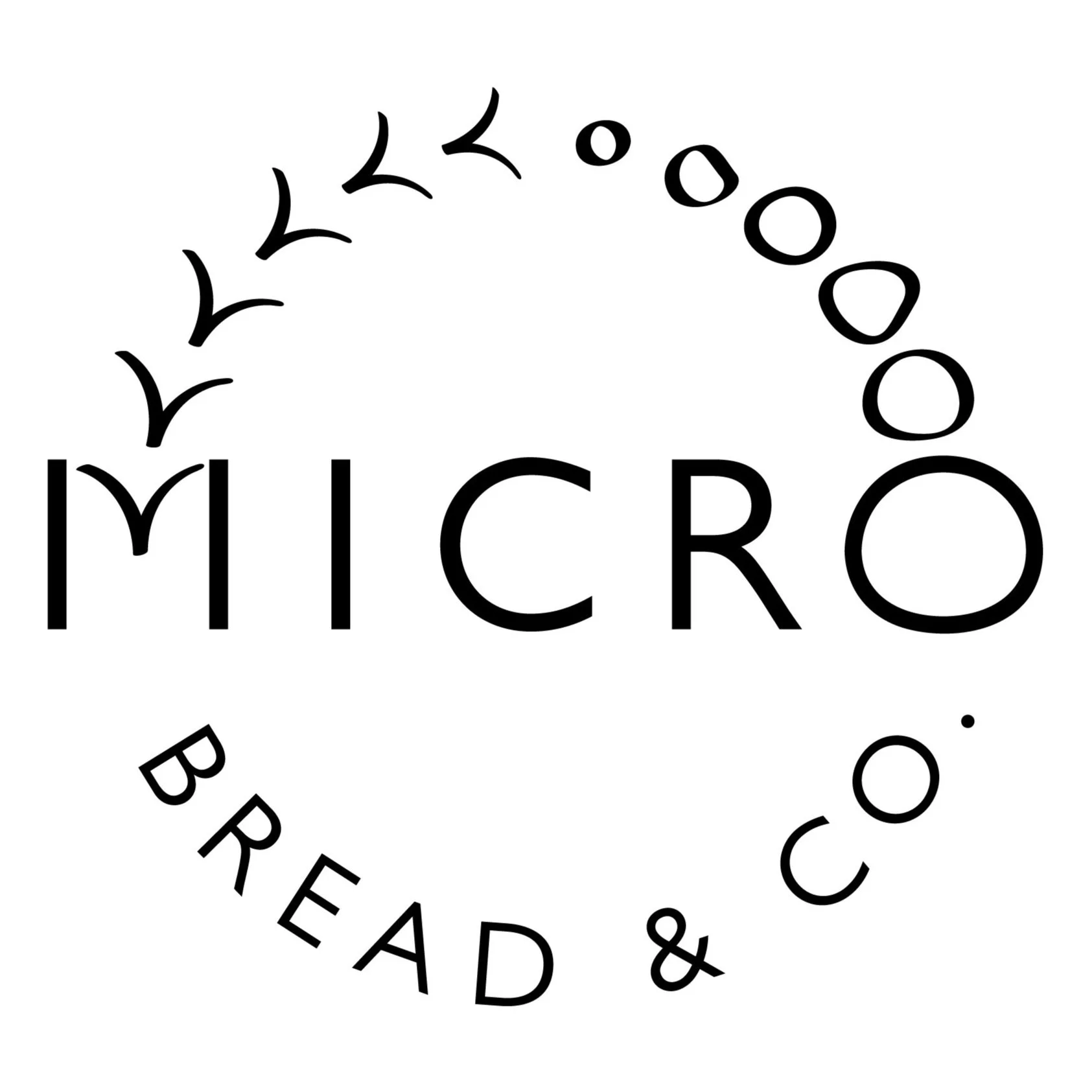 MICRO