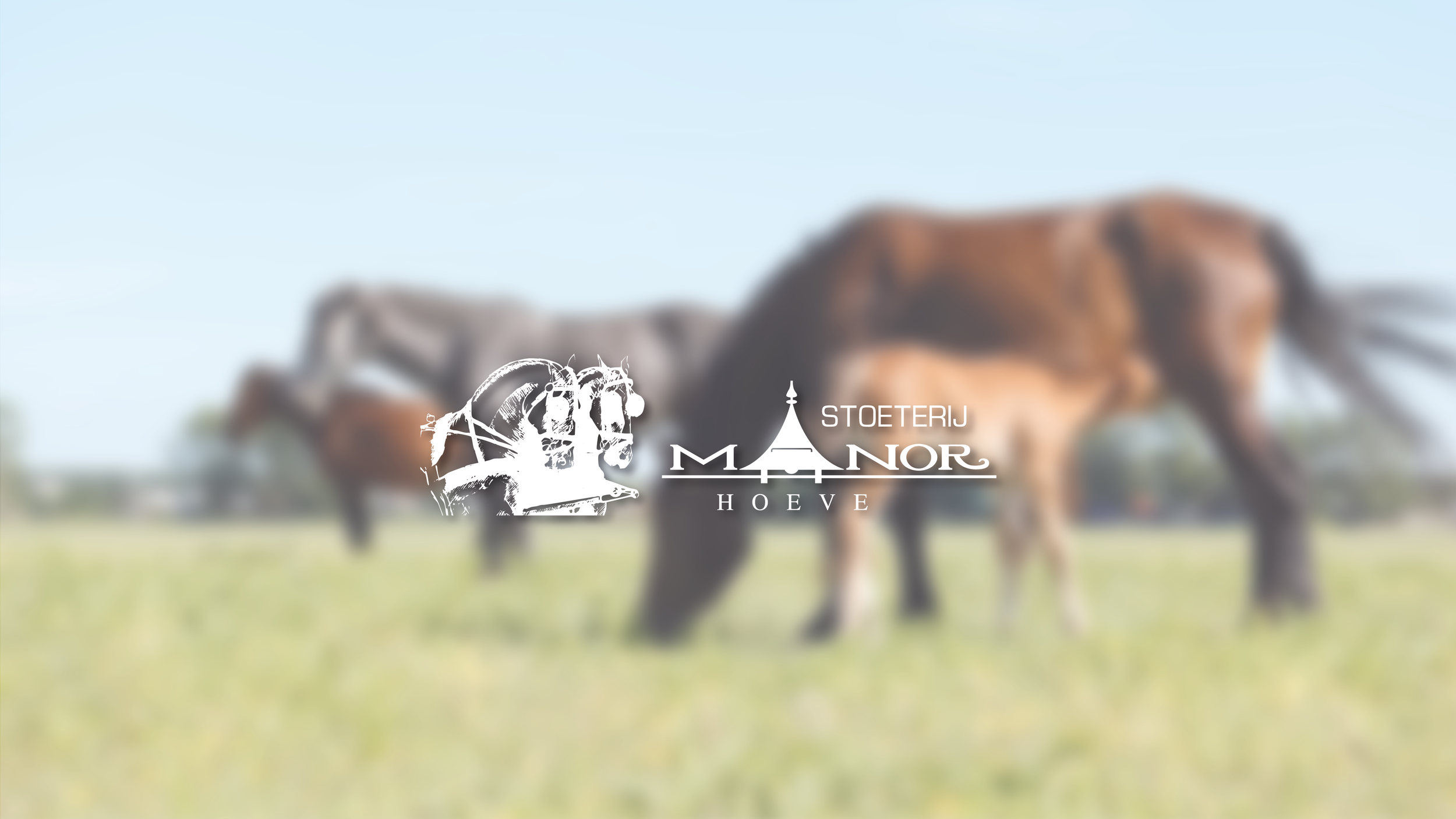 Stoeterij Manorhoeve