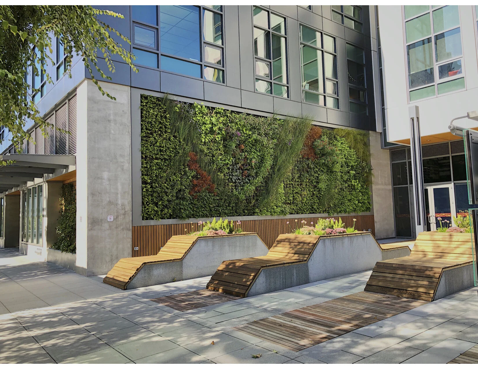 LIVING WALLS — VARIANCE DESIGN