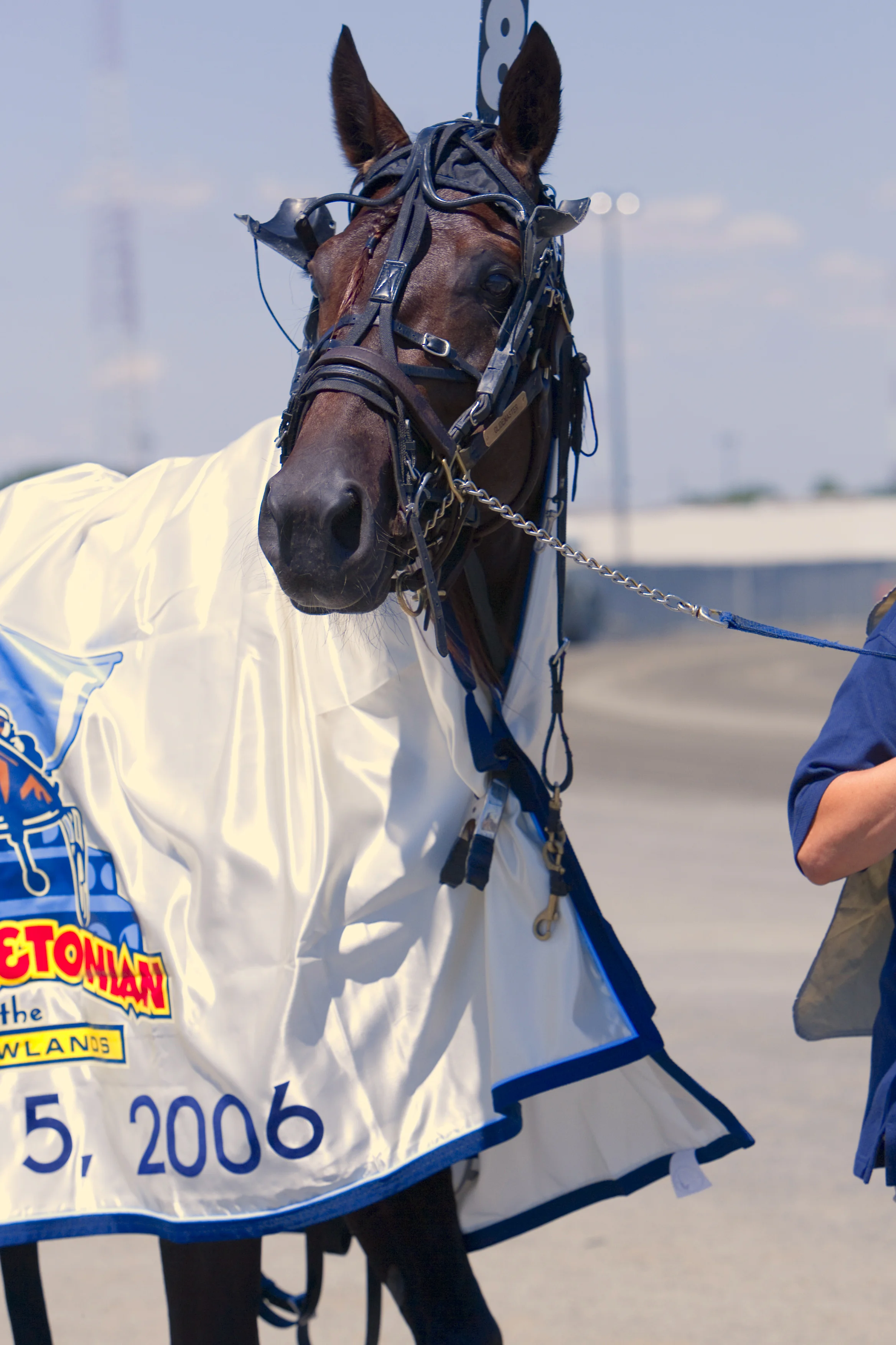 Hambletonian History — Hambletonian Society