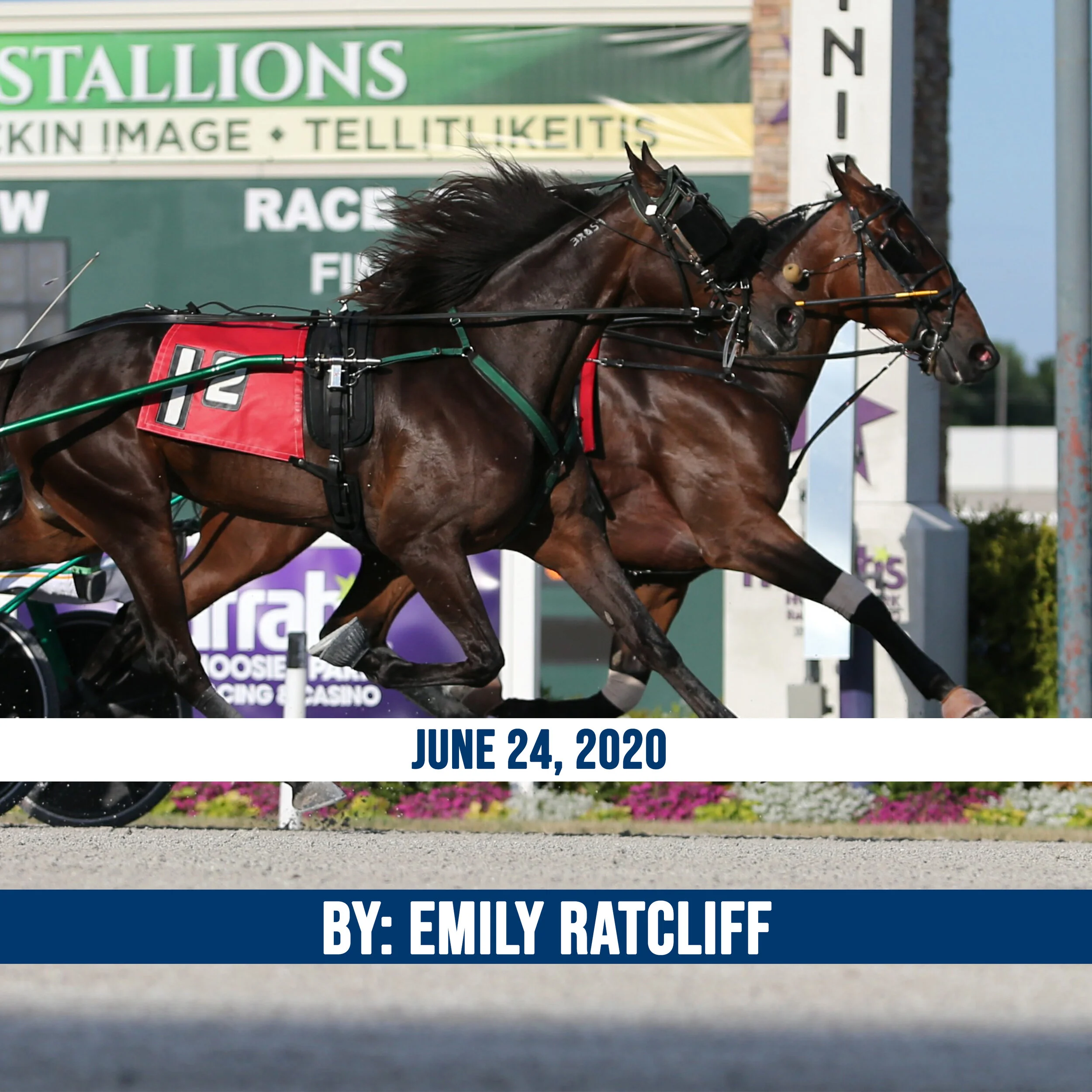 Star Destroyer — Hambletonian Society Inc