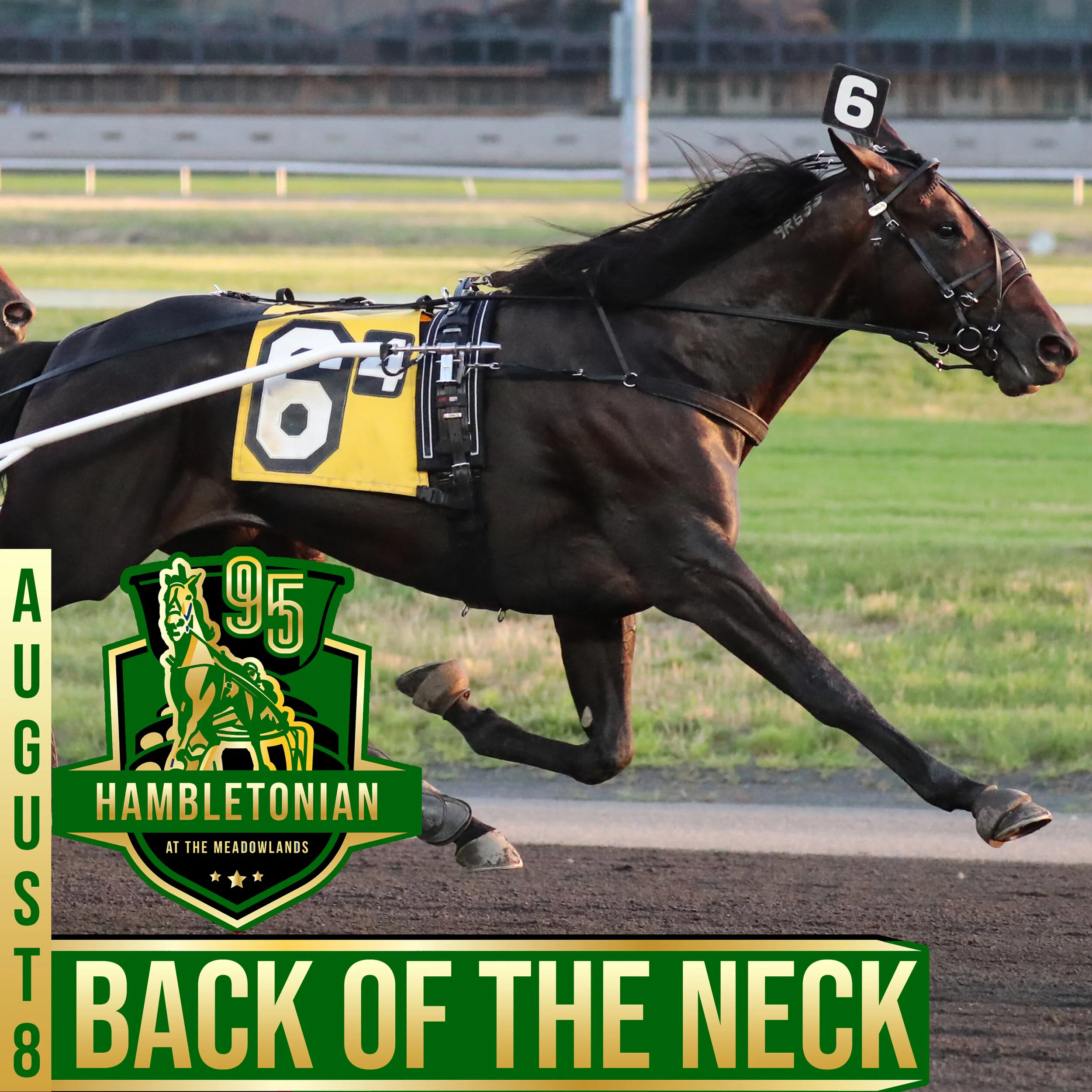 2020 Horses — Hambletonian Society Inc