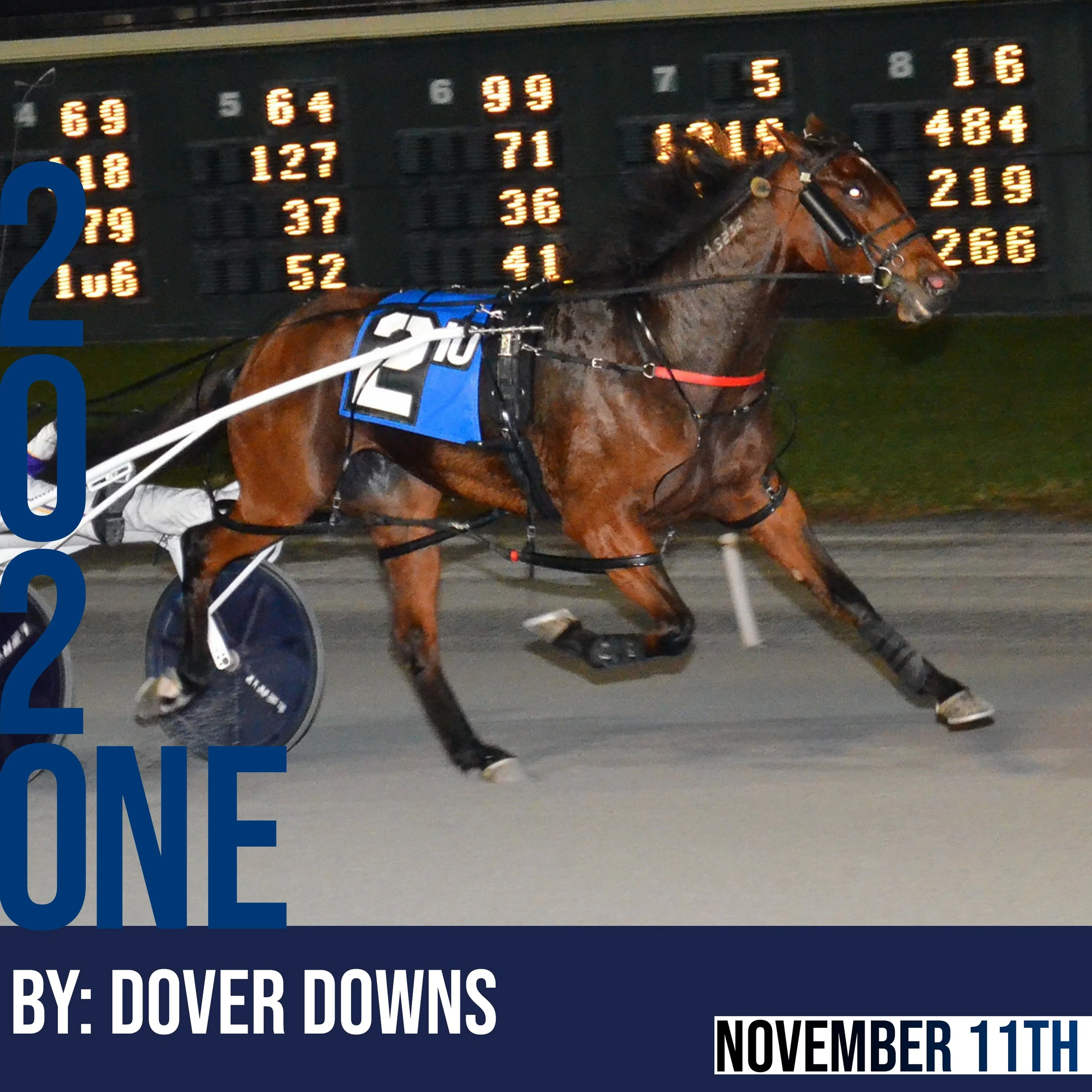 Matron Series (2YO) — Hambletonian Society Inc