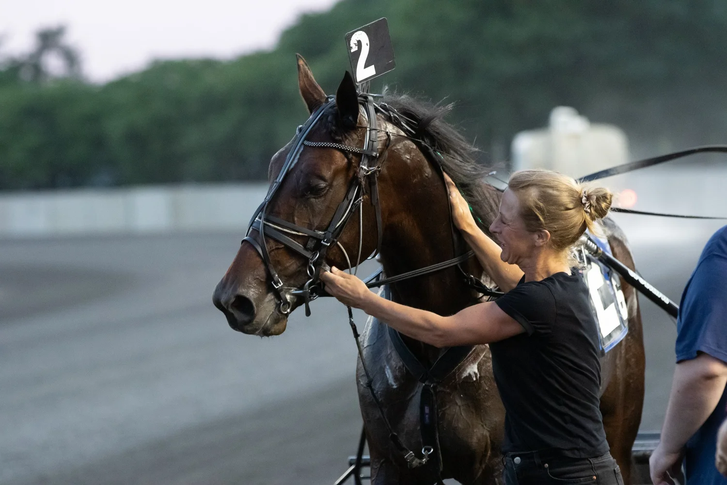 Sig Sauer | Post 8 — Hambletonian Society Inc