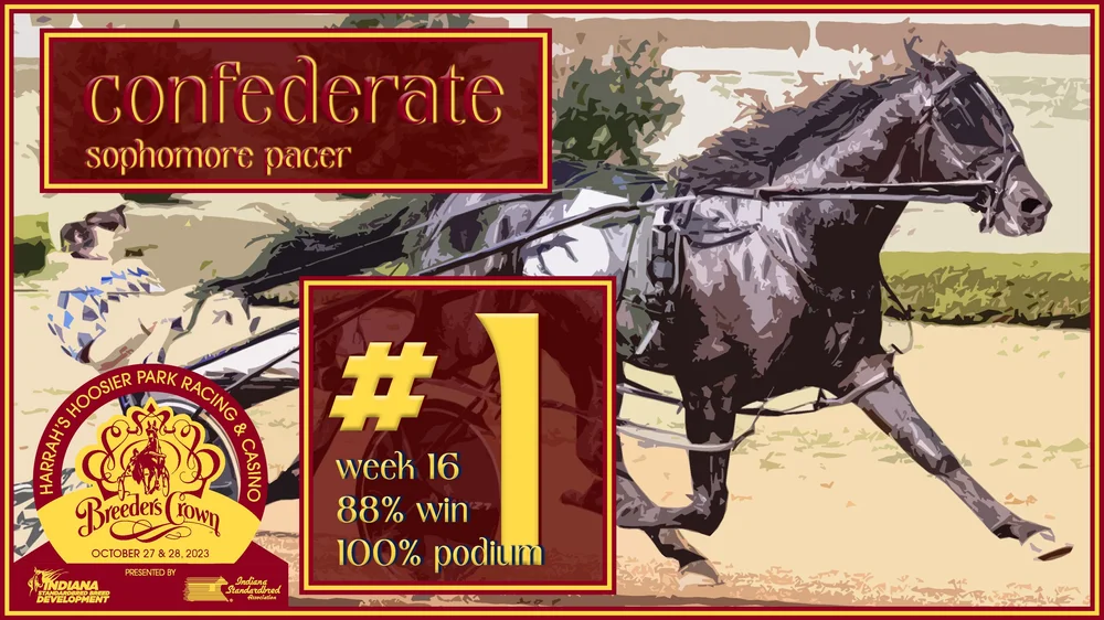 It’s My Show at No. 2 in Hambletonian Society/Breeders Crown poll ...