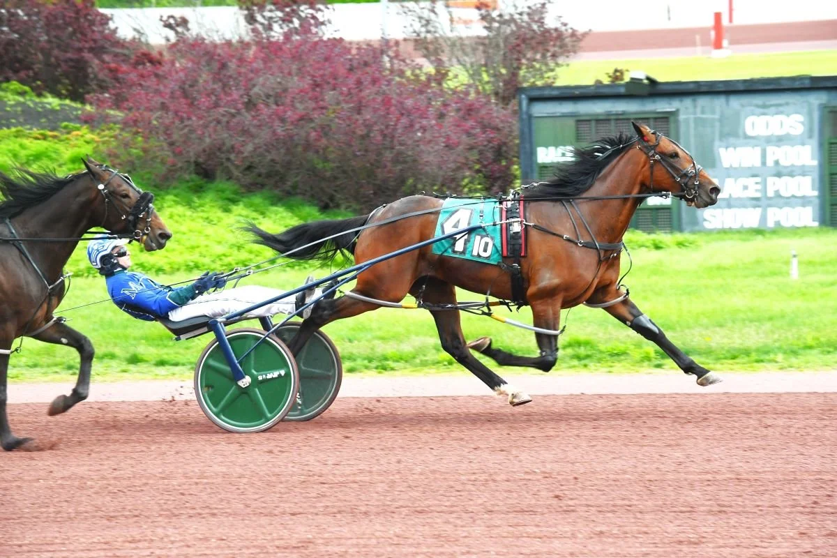 PA All Stars — Hambletonian Society Inc