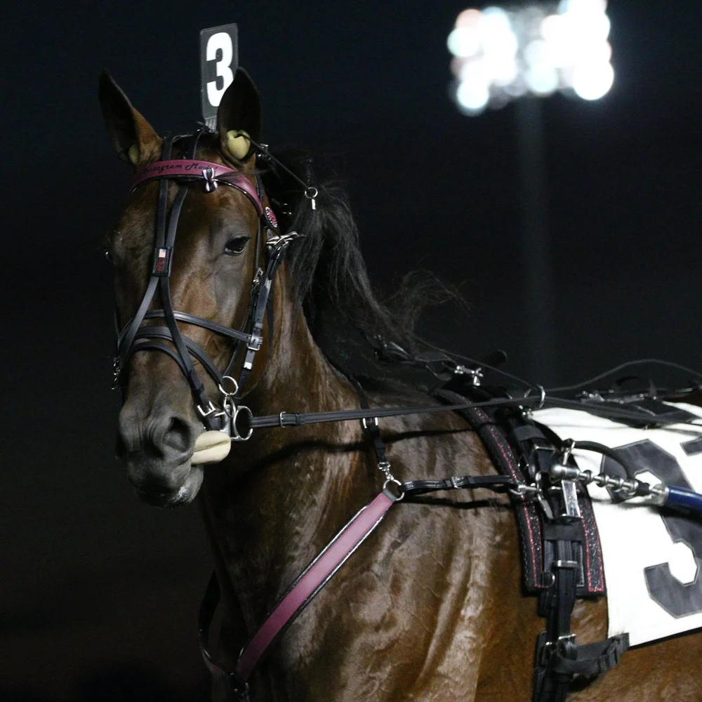 2023 The Finalists — Hambletonian Society