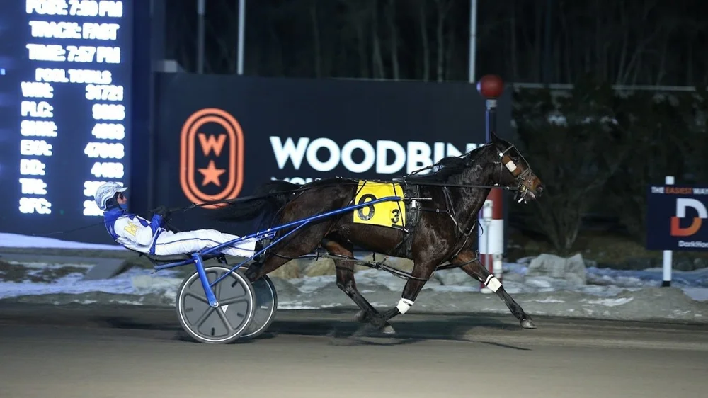 Beatson family excited as So Much More heads to Breeders Crown ...