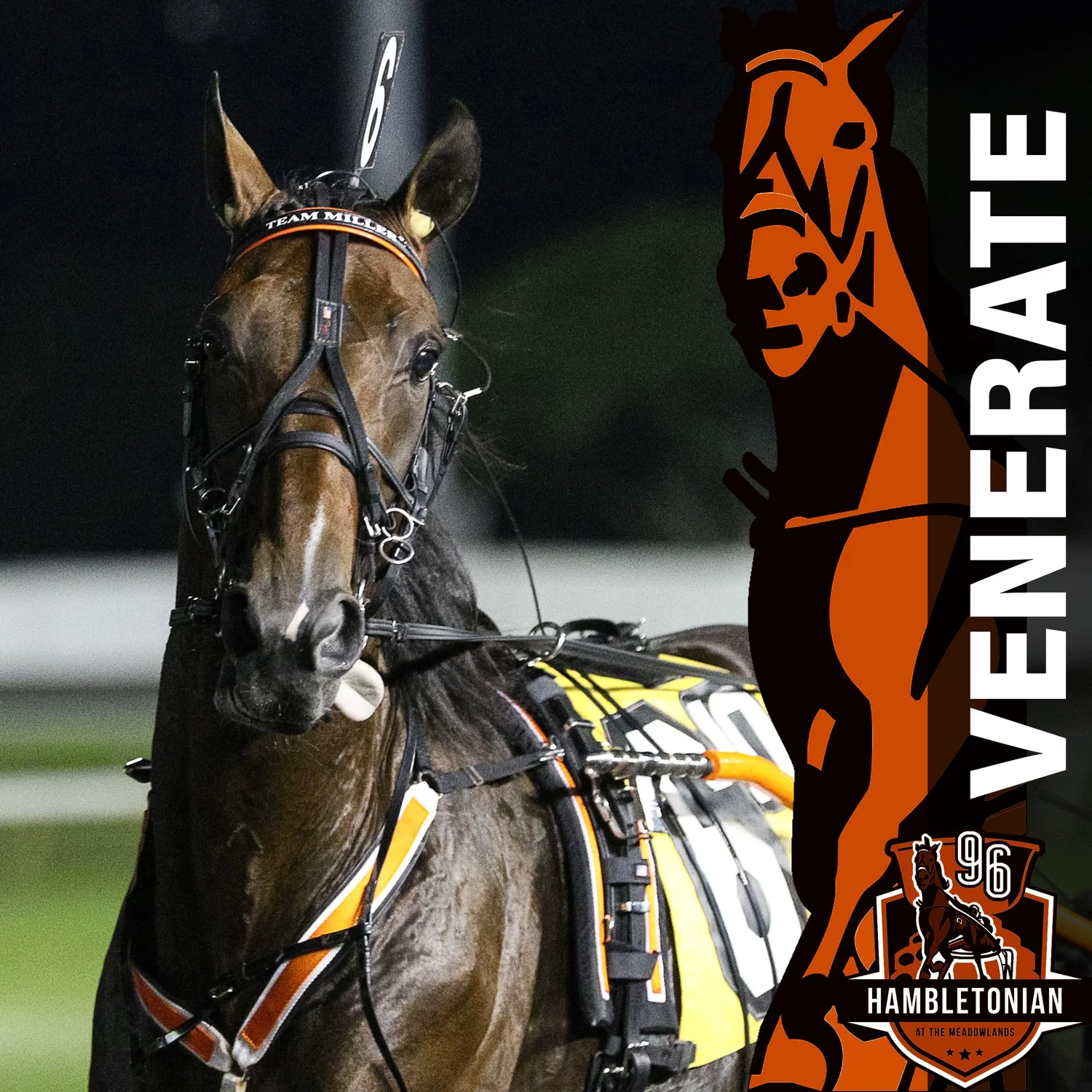 2021 | Captain Corey — Hambletonian Society Inc